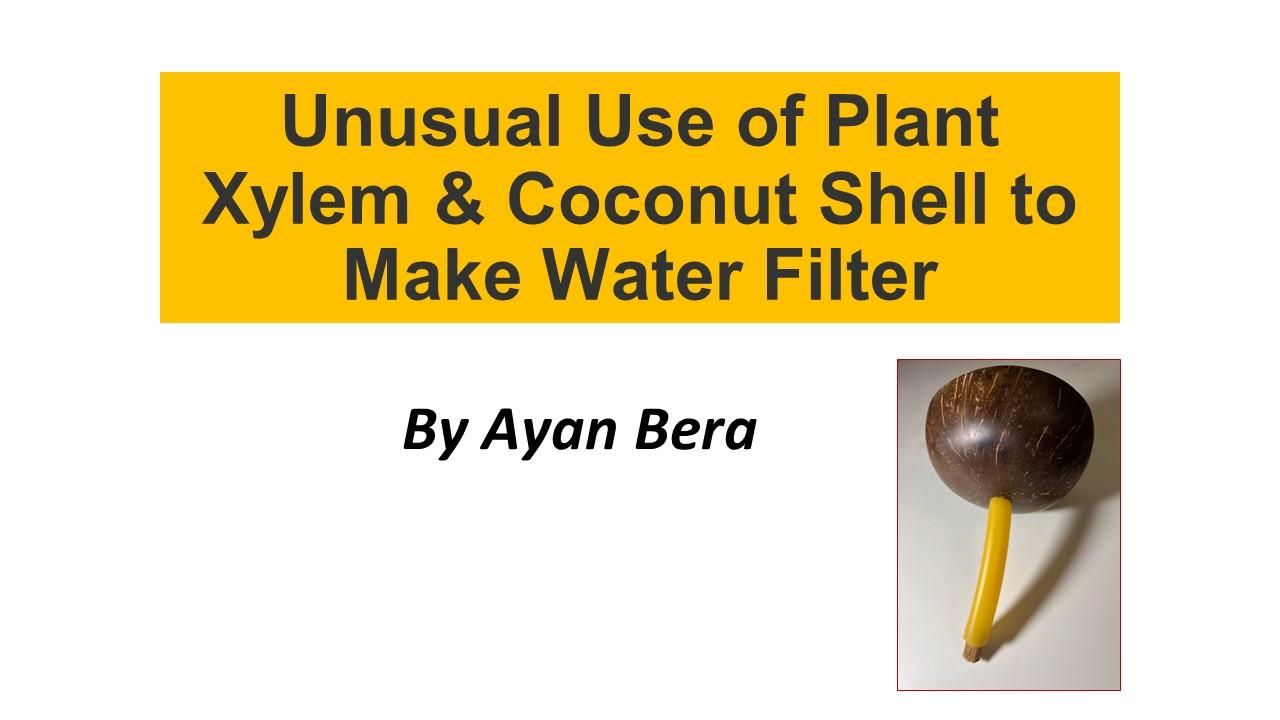 Unusual Use of Plant Xylem & Coconut Shell to Make Water Filter : 11 ...