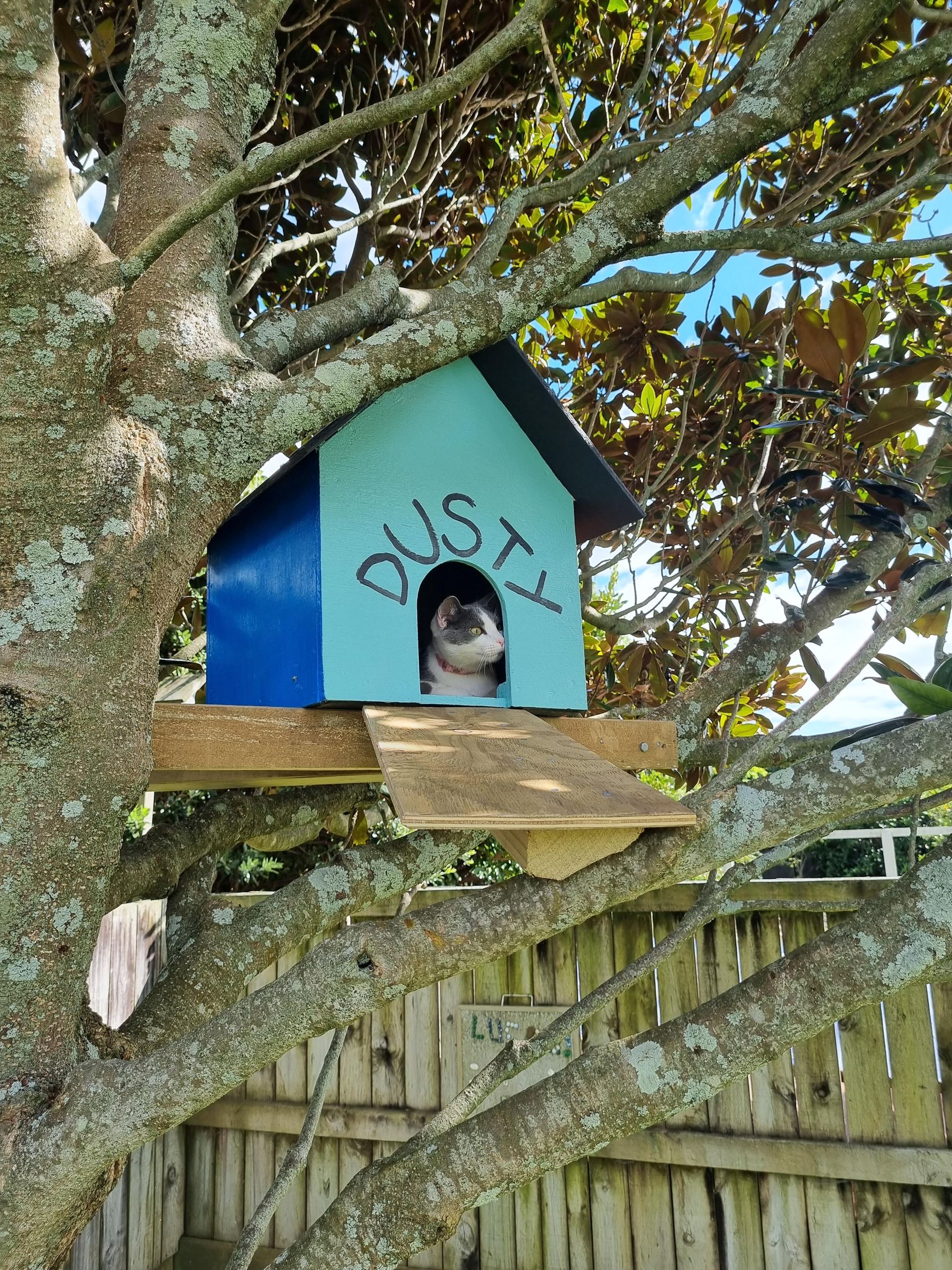 Cat Treehouse : 5 Steps (with Pictures) - Instructables