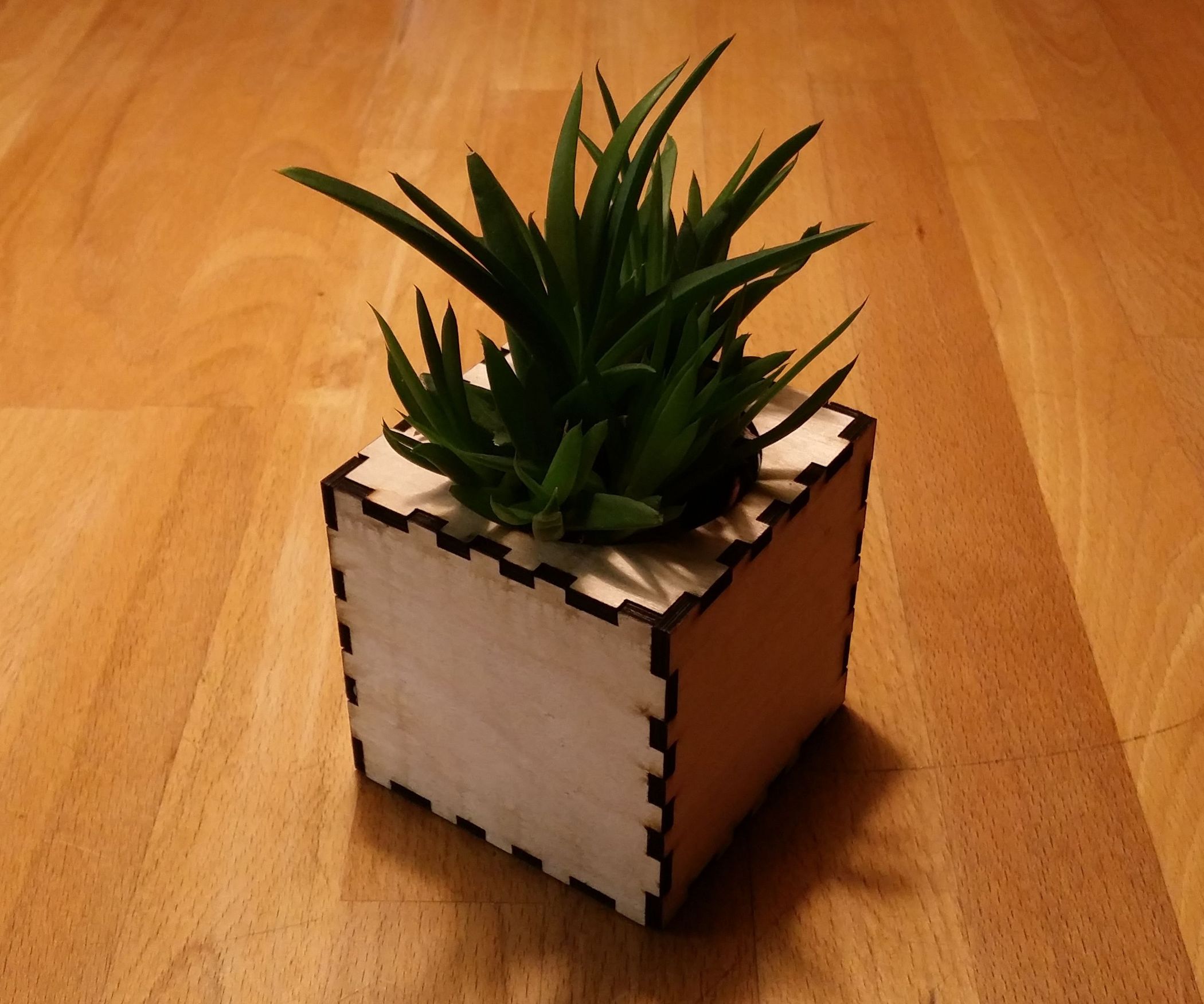 Birch Wood Cachepot : 5 Steps (with Pictures) - Instructables