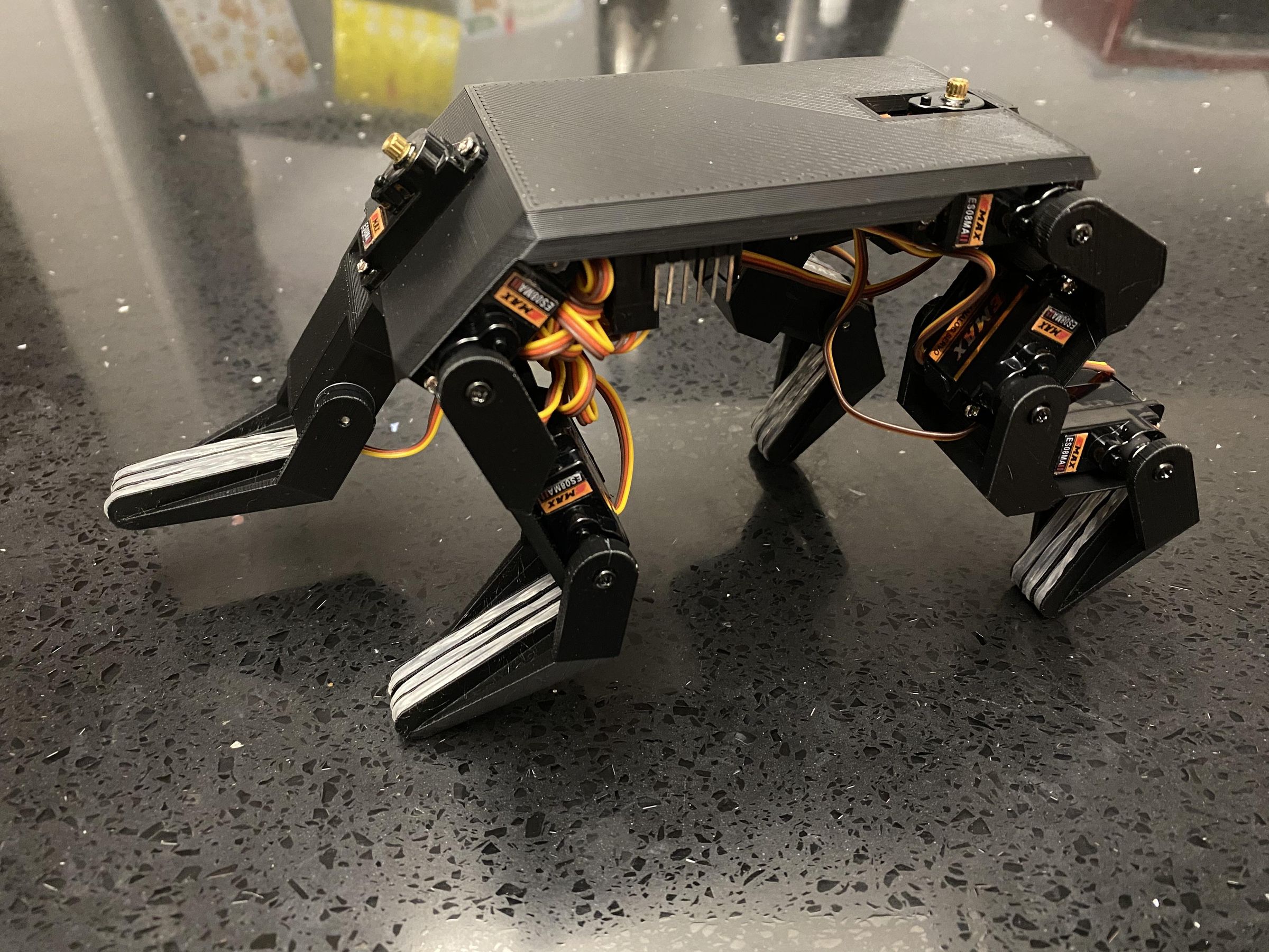 Robot Cat : 20 Steps (with Pictures) - Instructables