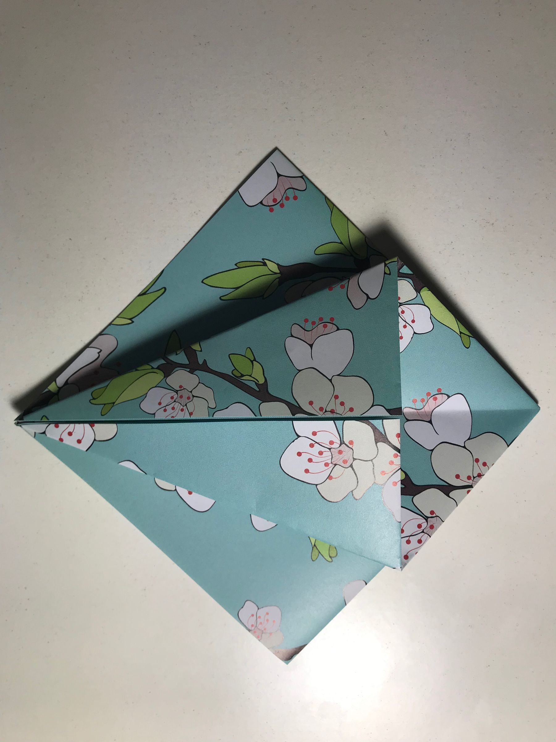 Origami Dragonfly : 14 Steps - Instructables