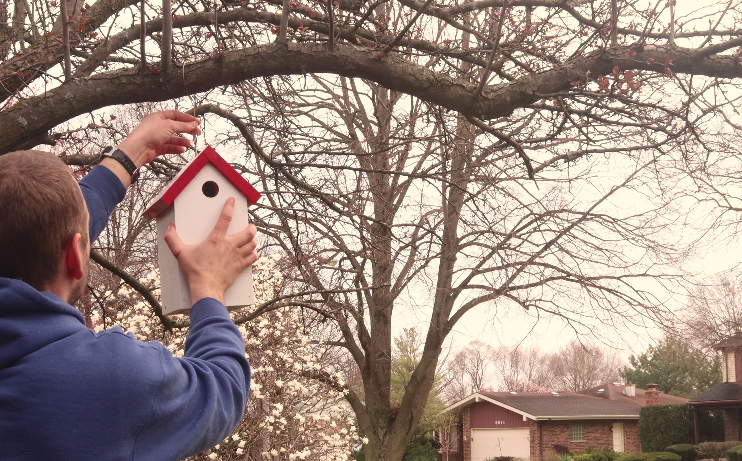 Simple Birdhouse | Easy Quarantine Project With the Kids | FREE PLANS ...