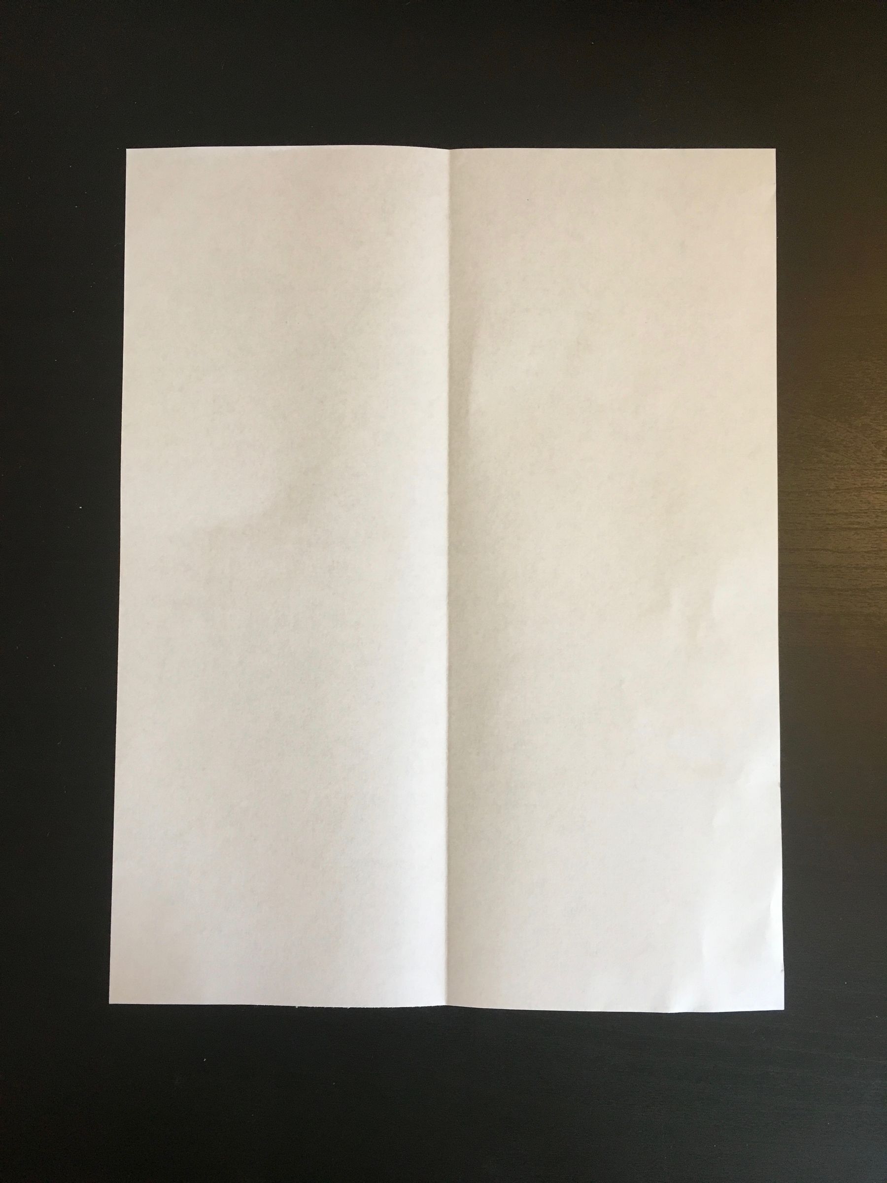 The Best Paper Airplane : 13 Steps (with Pictures) - Instructables