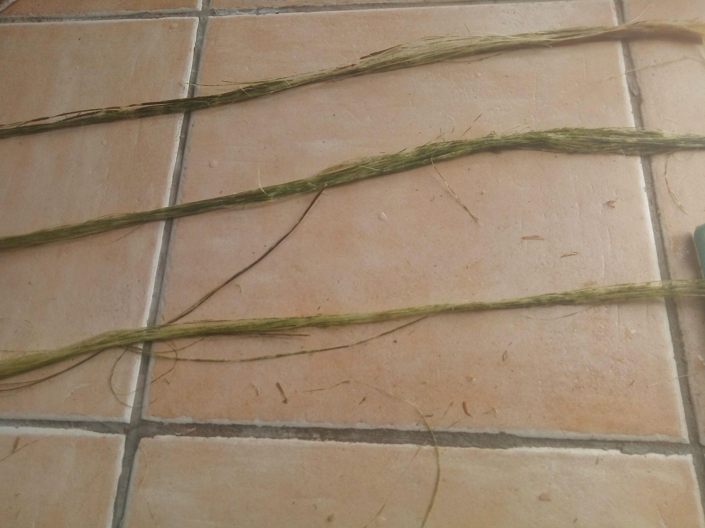 How to Make Rope With Natural Plant Fibers : 6 Steps (with Pictures ...