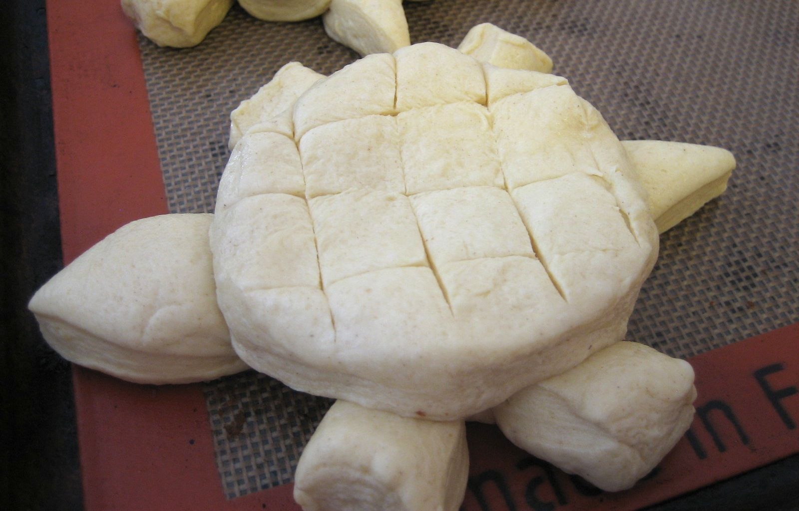 Turtle Biscuits (with Pictures) - Instructables
