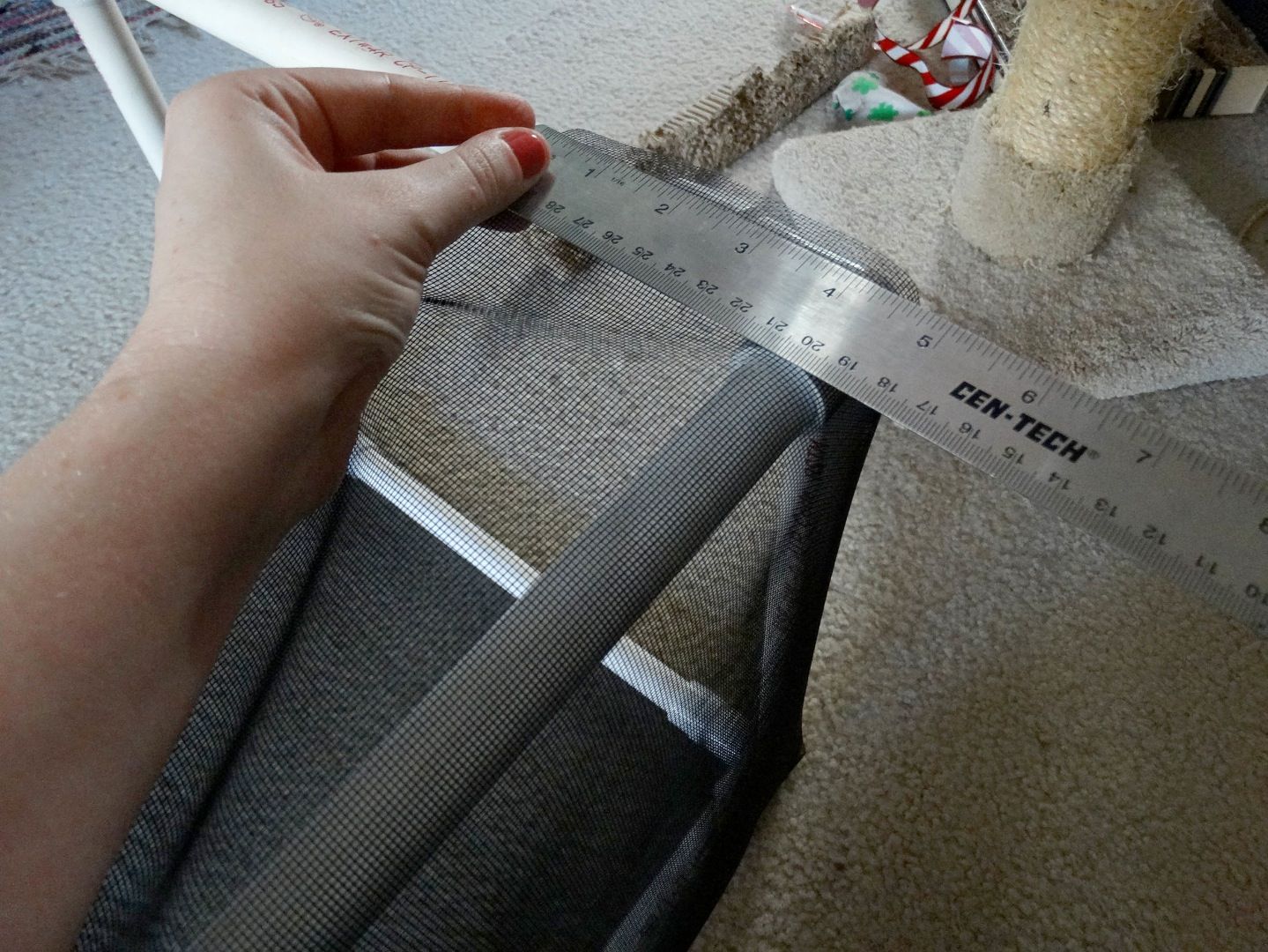 Raising Giant Silk Moths : 15 Steps (with Pictures) - Instructables