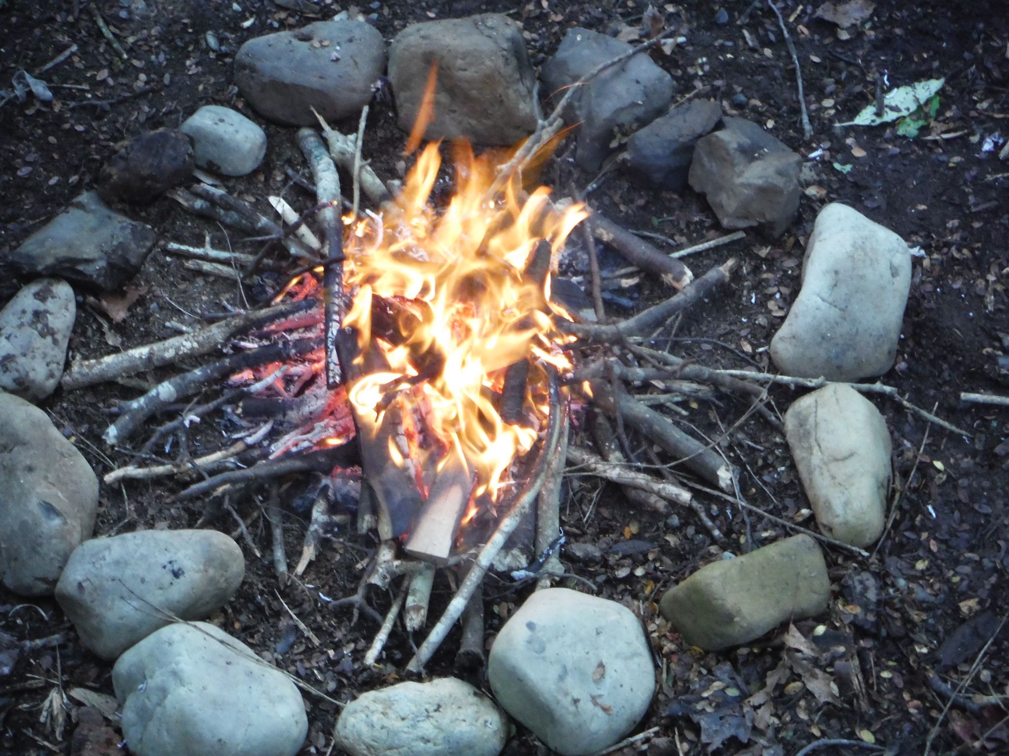 Delicious Campfire-Cooked Damper Bread! : 11 Steps (with Pictures ...