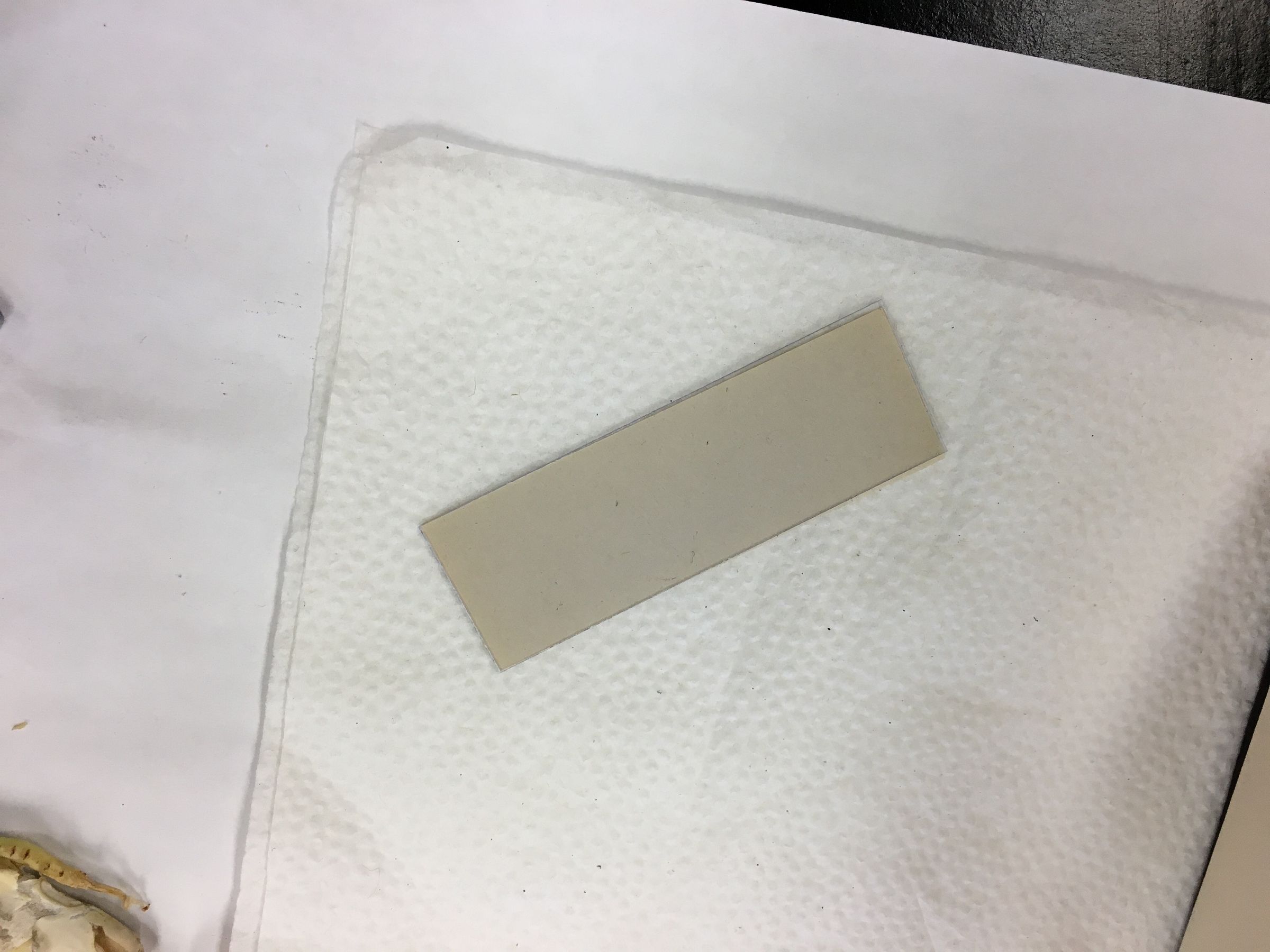 Les Racines Et Les Poils Absorbantes : 7 Steps - Instructables