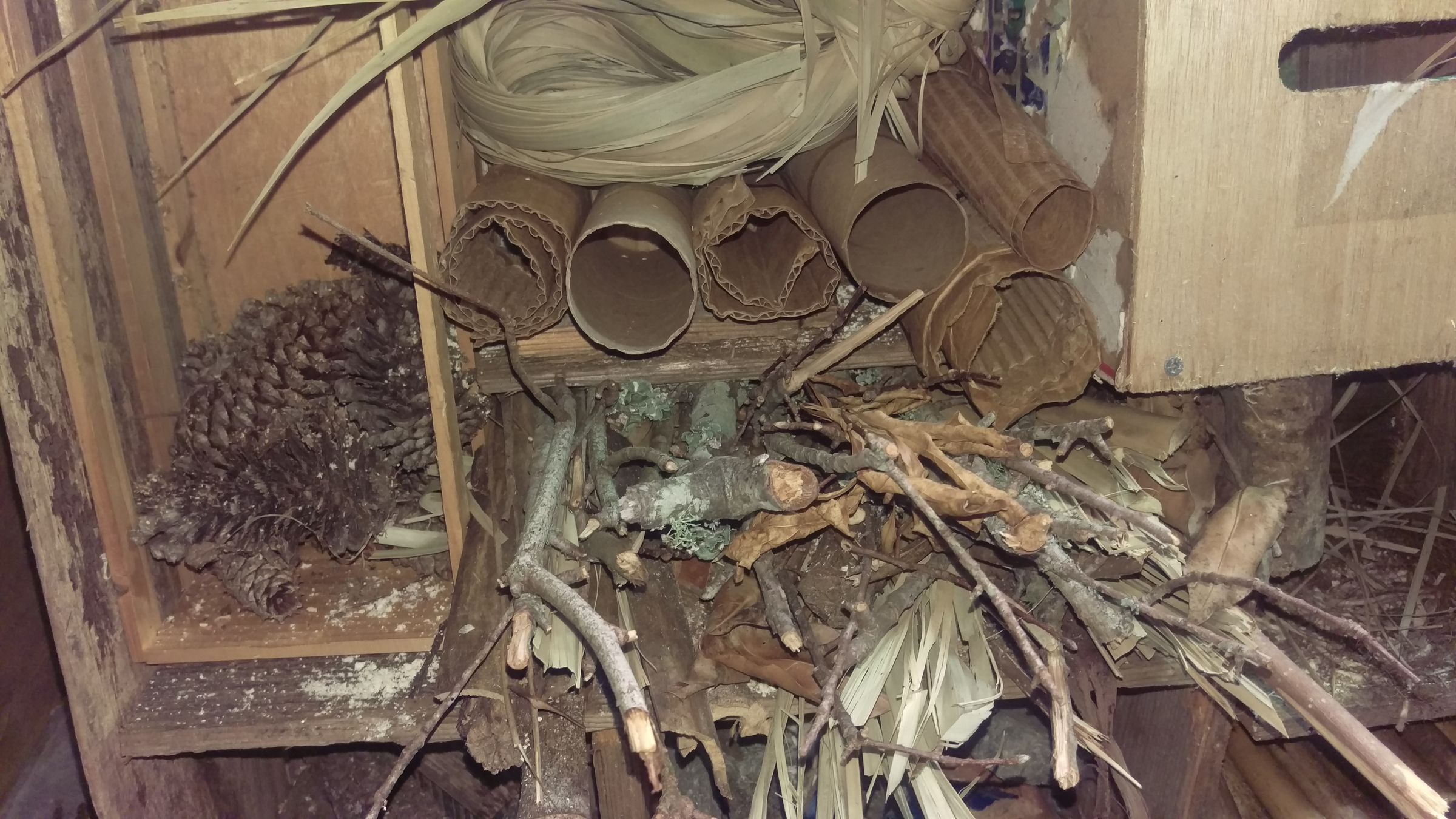 Bee Condo Insect Hotel : 9 Steps (with Pictures) - Instructables