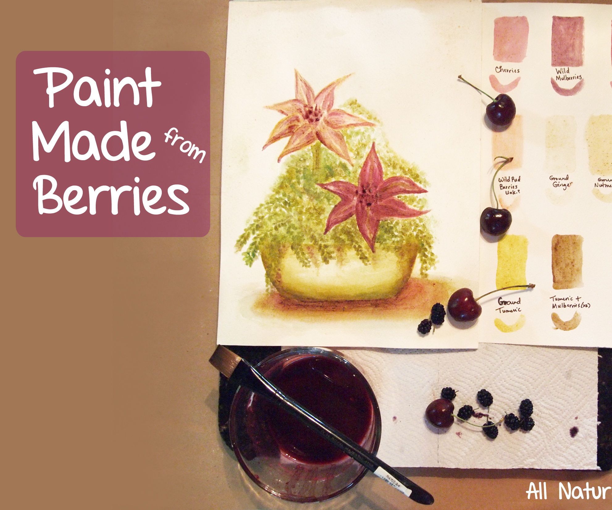 Paint Made From Berries & Nature : 4 Steps (with Pictures) - Instructables