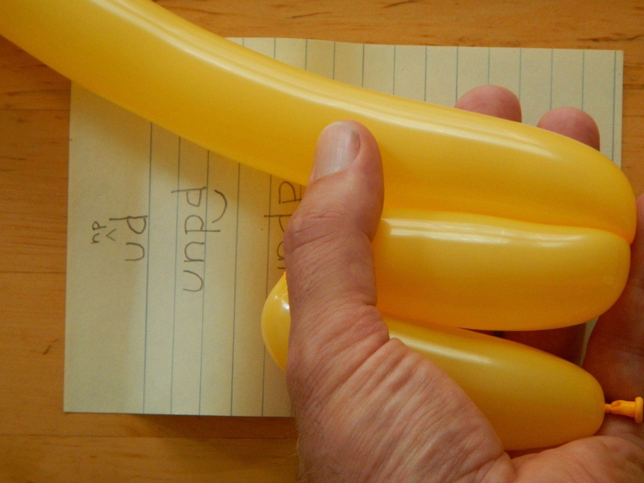 How to Evolve a Balloon Animal : 5 Steps (with Pictures) - Instructables