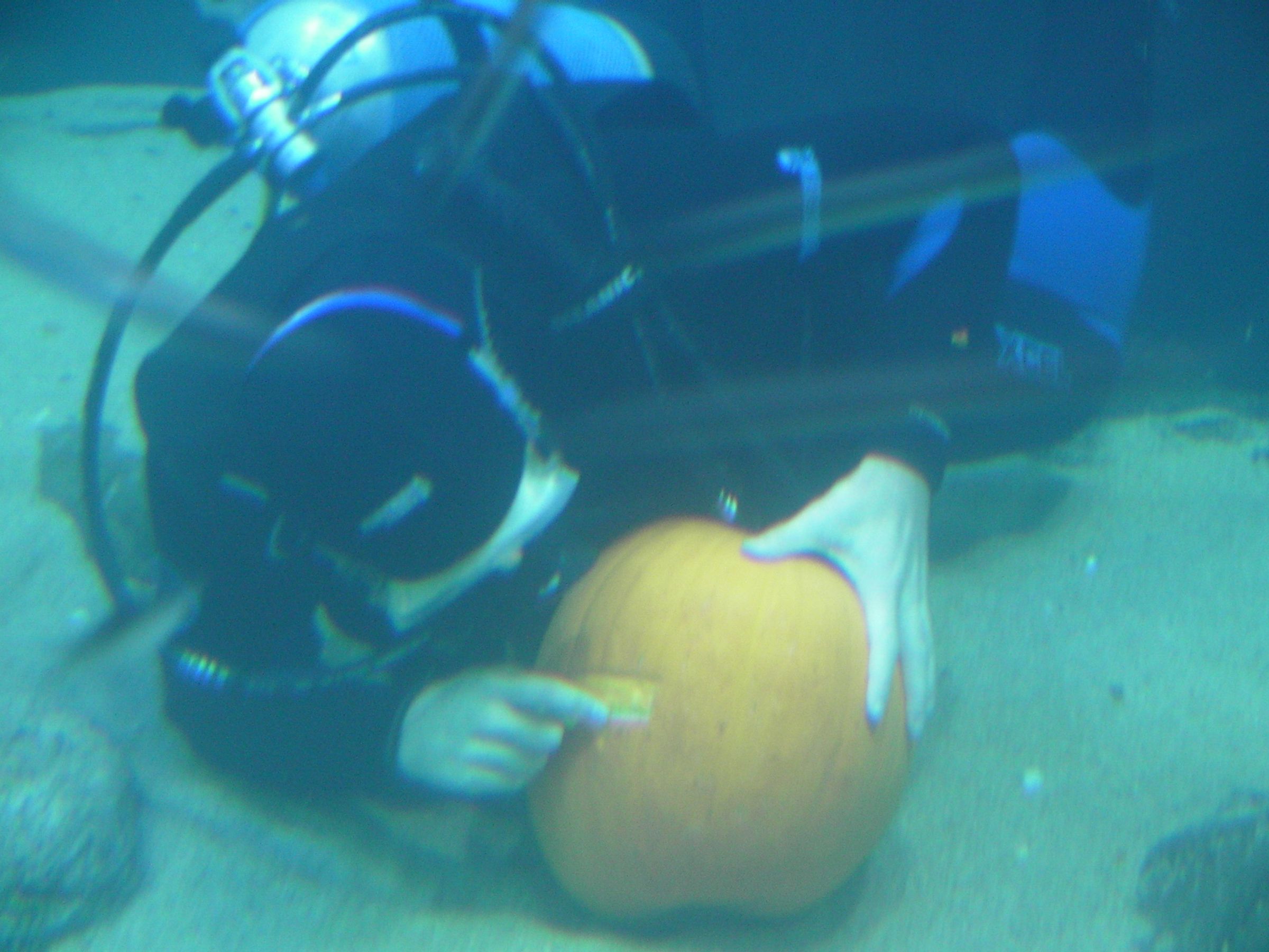 Underwater Pumpkin Carving How To : 8 Steps (with Pictures) - Instructables
