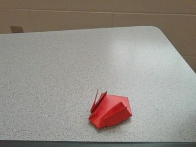 Origami Cicada : 9 Steps - Instructables