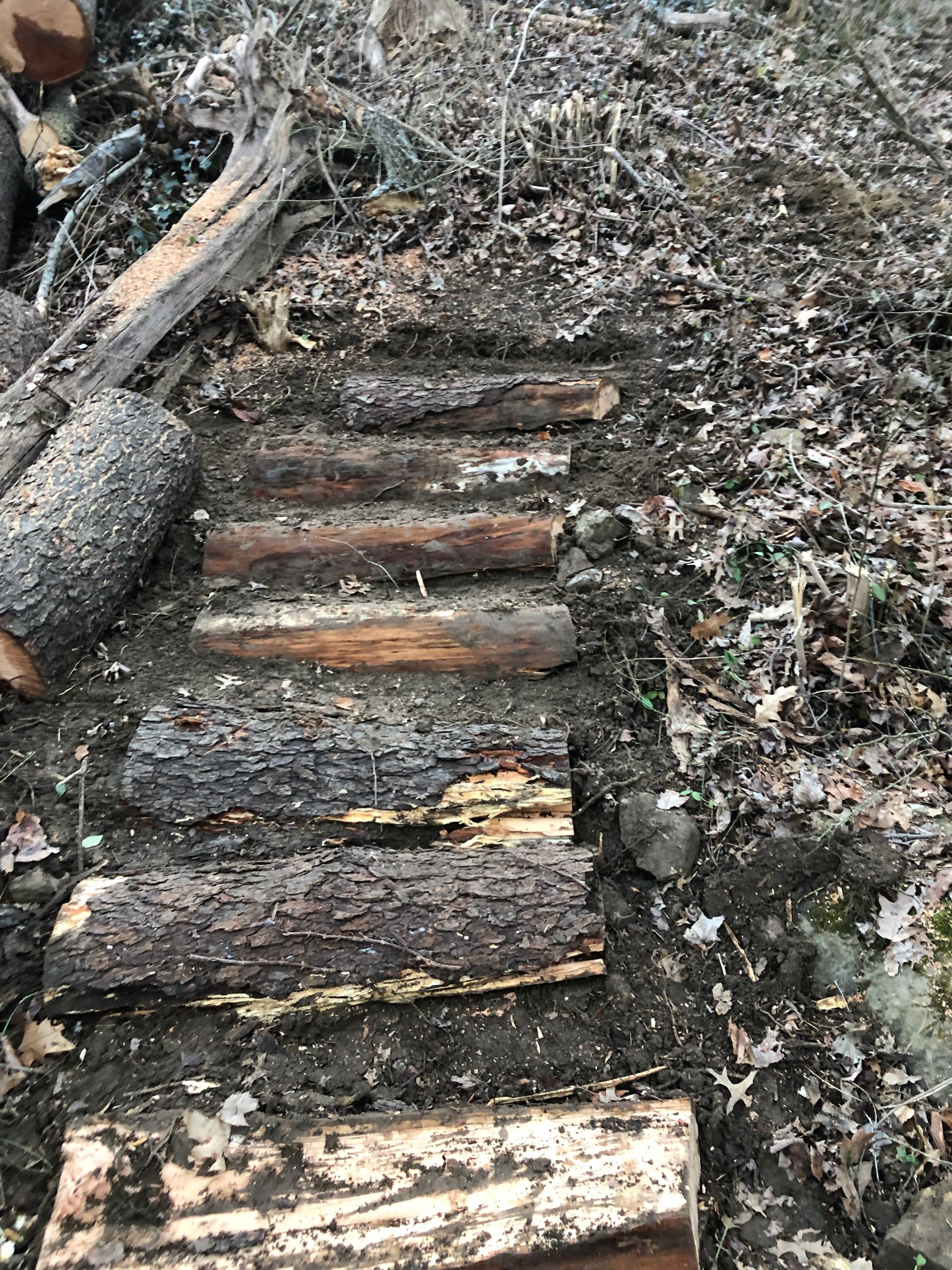 Log Path Cut Into a Hill : 5 Steps (with Pictures) - Instructables