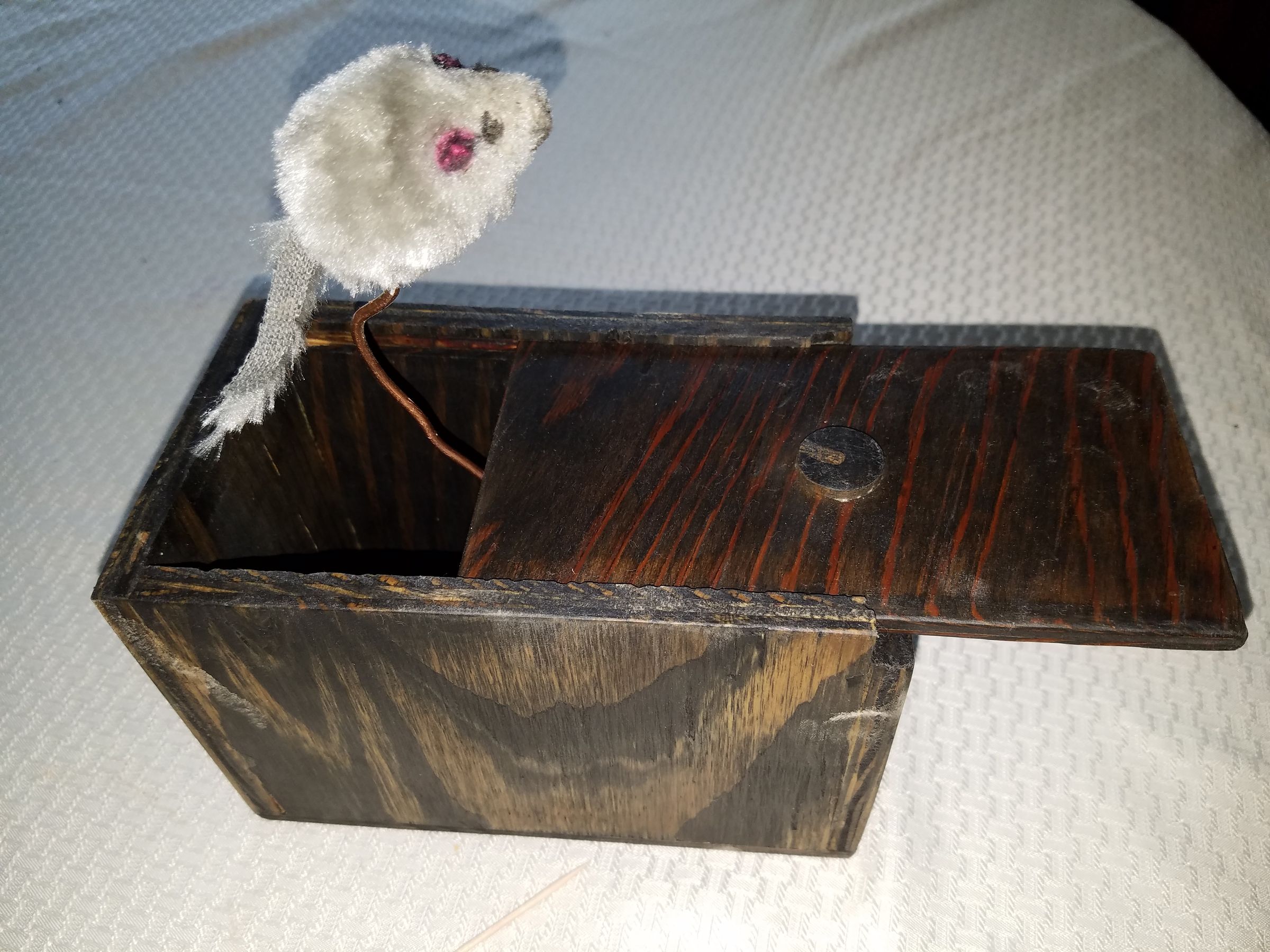 Spider Box : 11 Steps (with Pictures) - Instructables