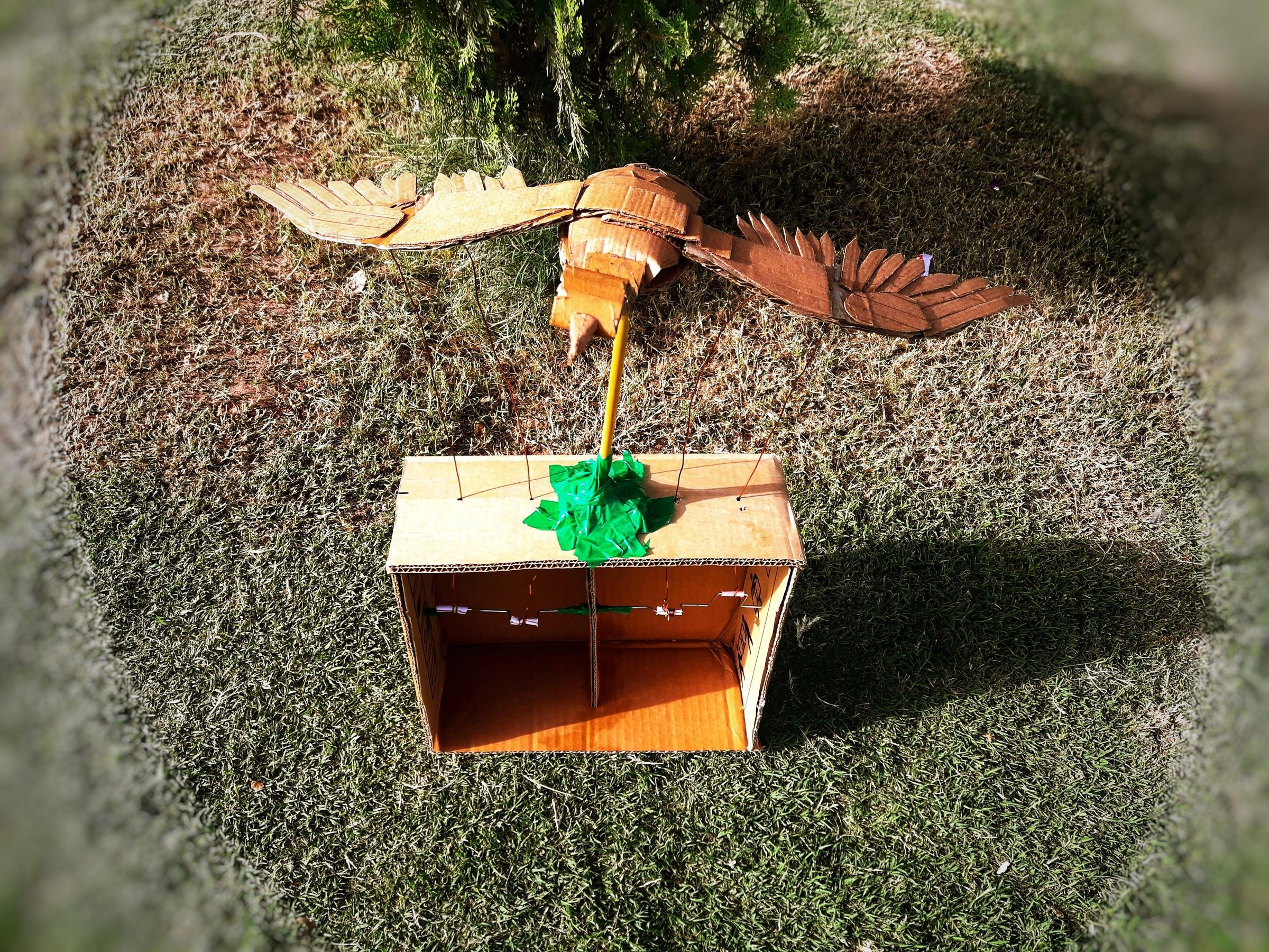 Mechanical Cardboard Bird : 9 Steps (with Pictures) - Instructables