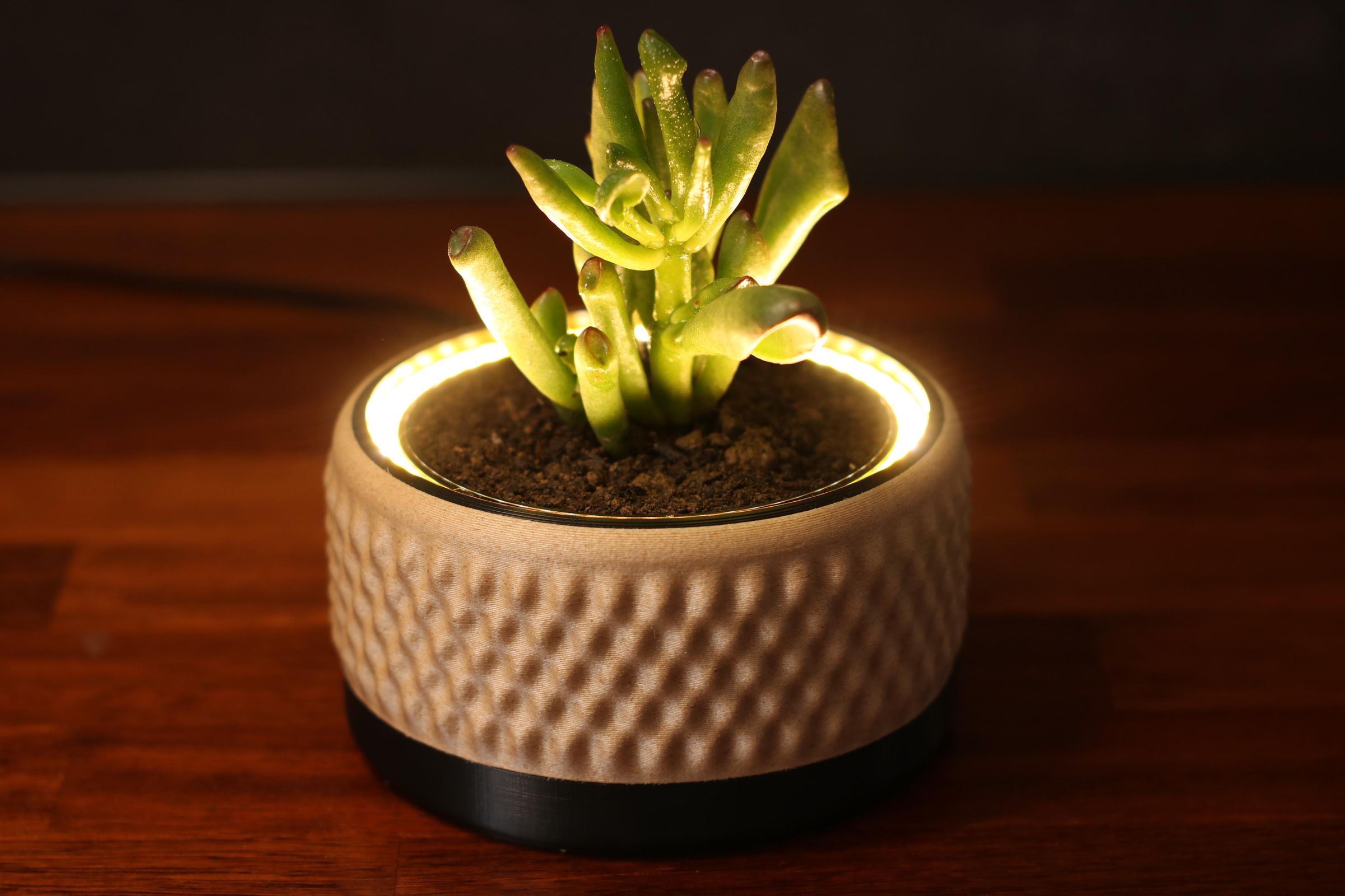 Lamp Planter : 4 Steps (with Pictures) - Instructables