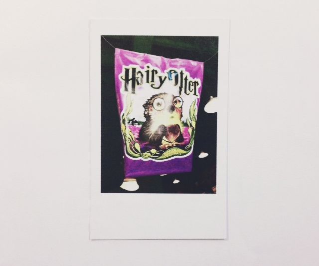 Faux Instant Photo : 11 Steps - Instructables