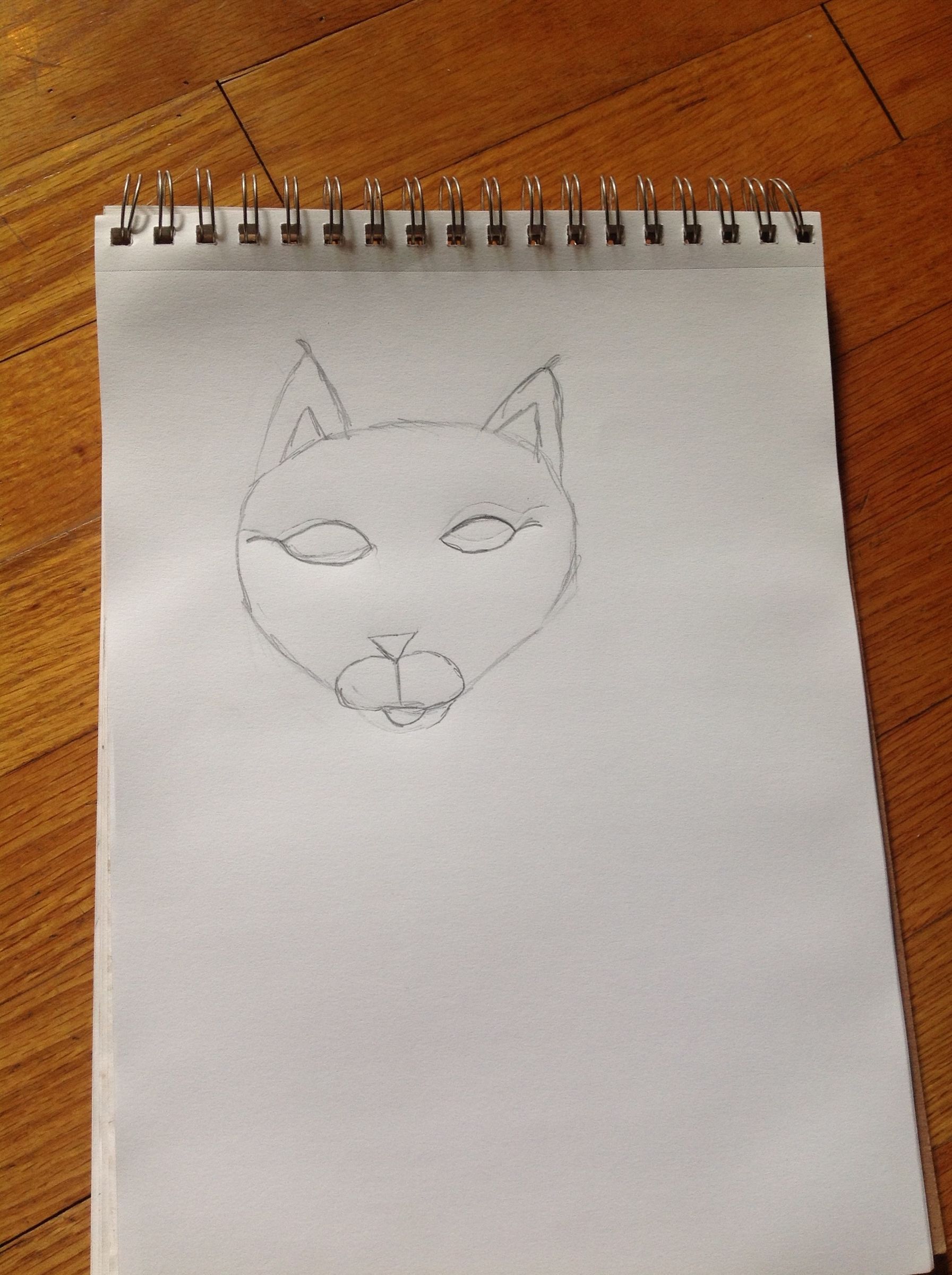 How to Draw a Fat Cat : 9 Steps - Instructables