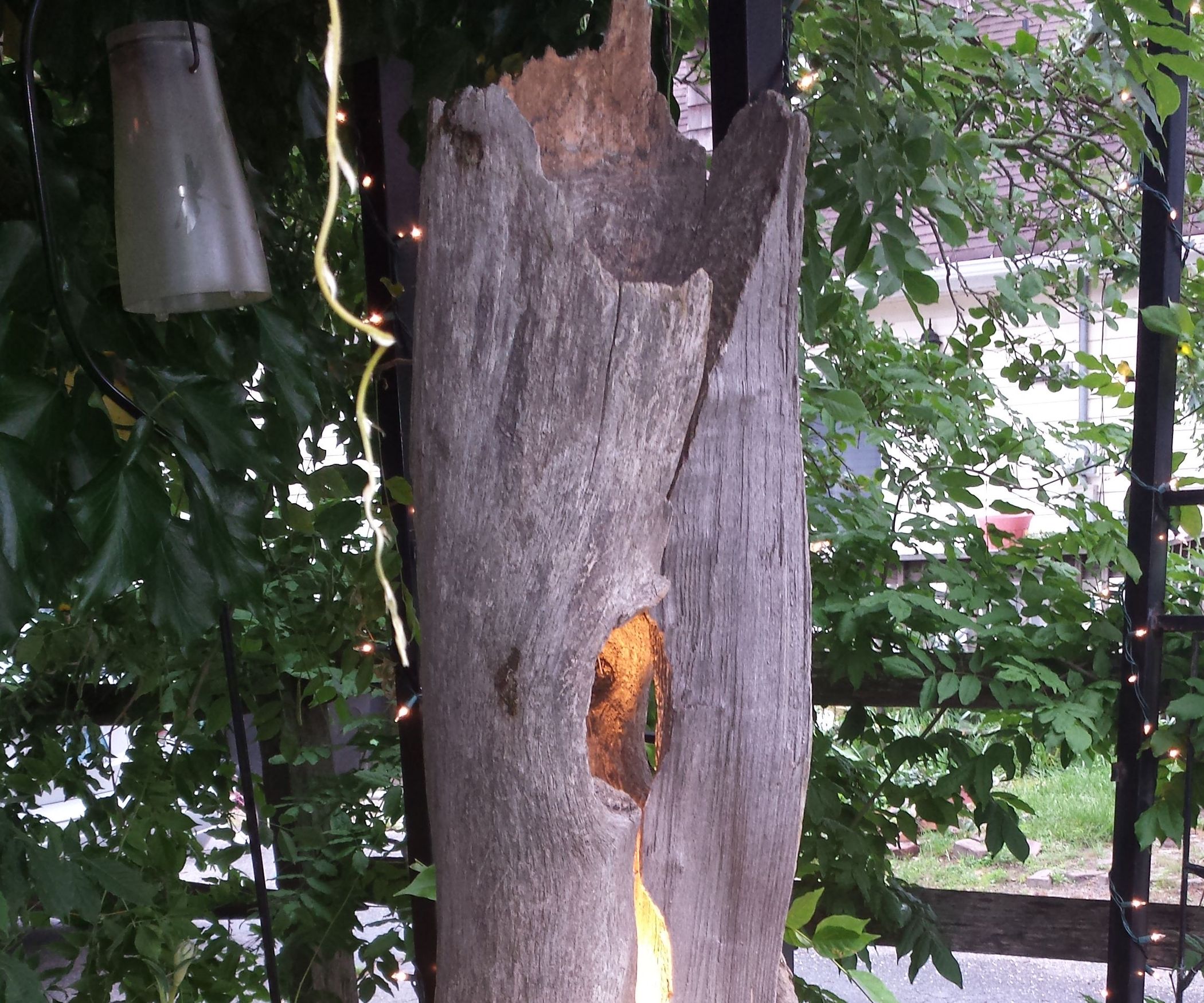 Tree Limb Accent Light : 6 Steps - Instructables