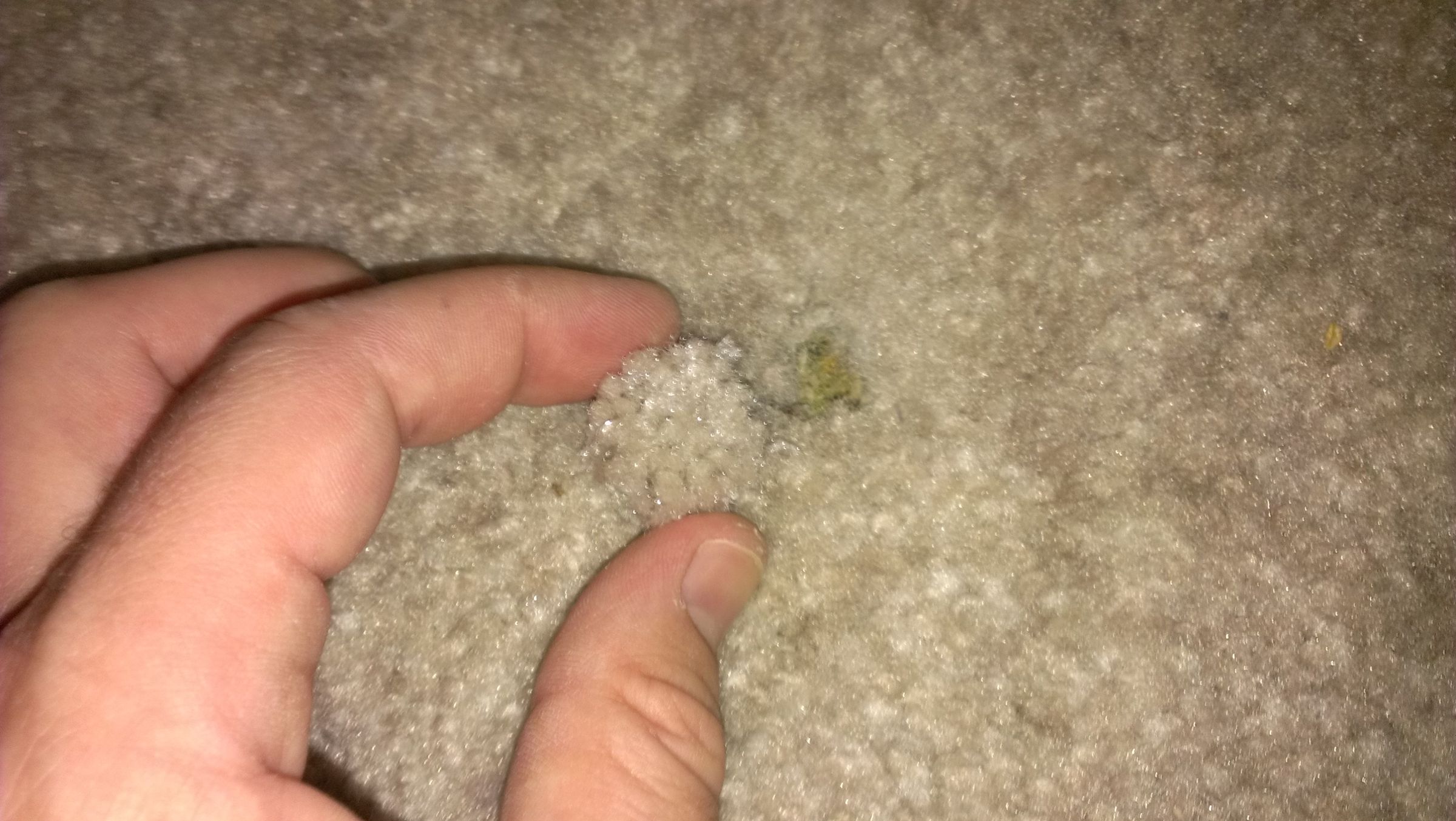 Making Small Stains / Burns / Holes in Carpet As If They Never Happened ...