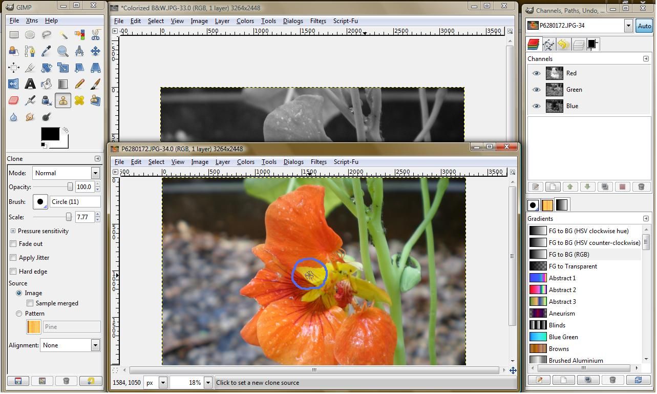 Colorize Black & White Photos in GIMP : 6 Steps - Instructables