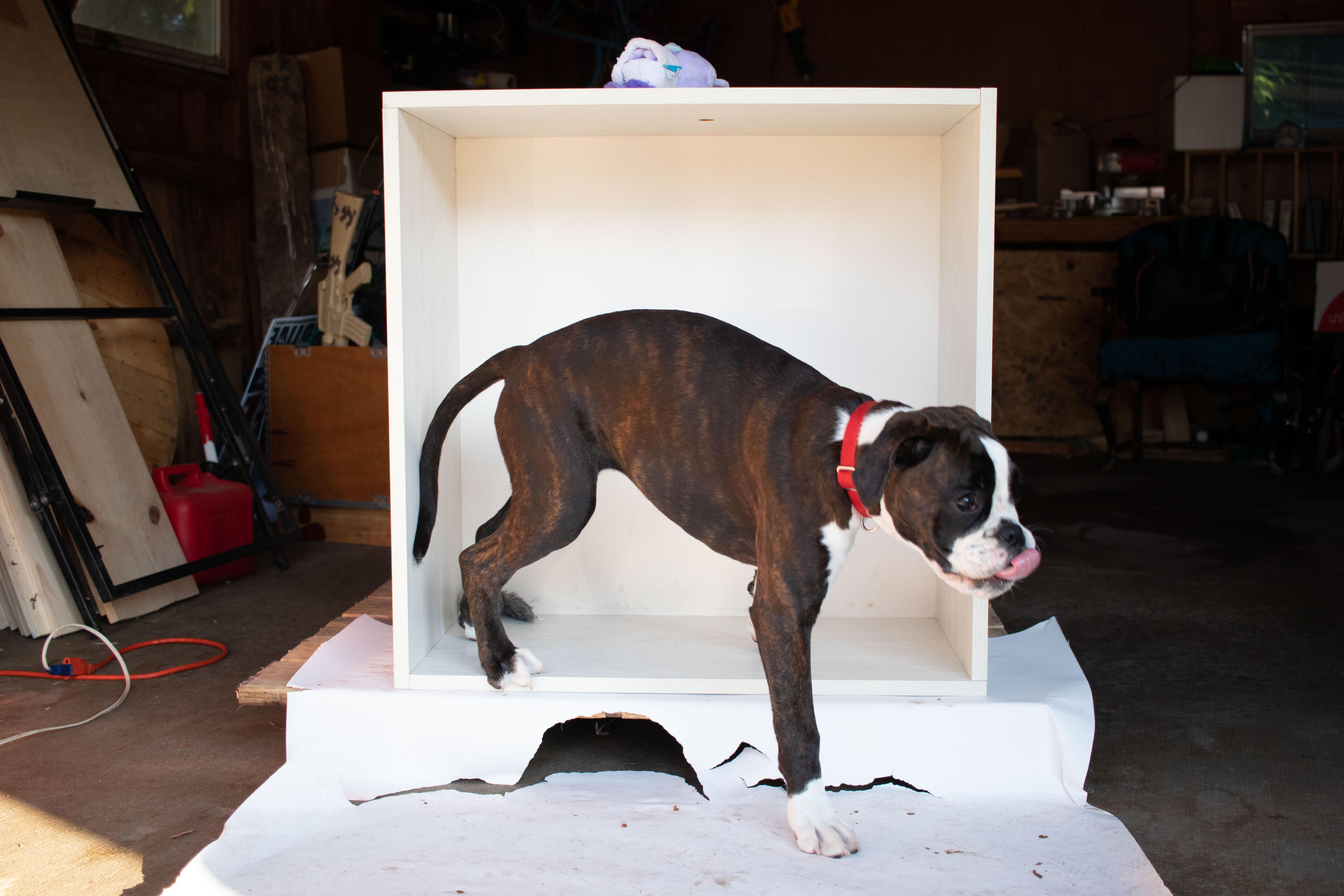 In the Box Photography : 10 Steps (with Pictures) - Instructables