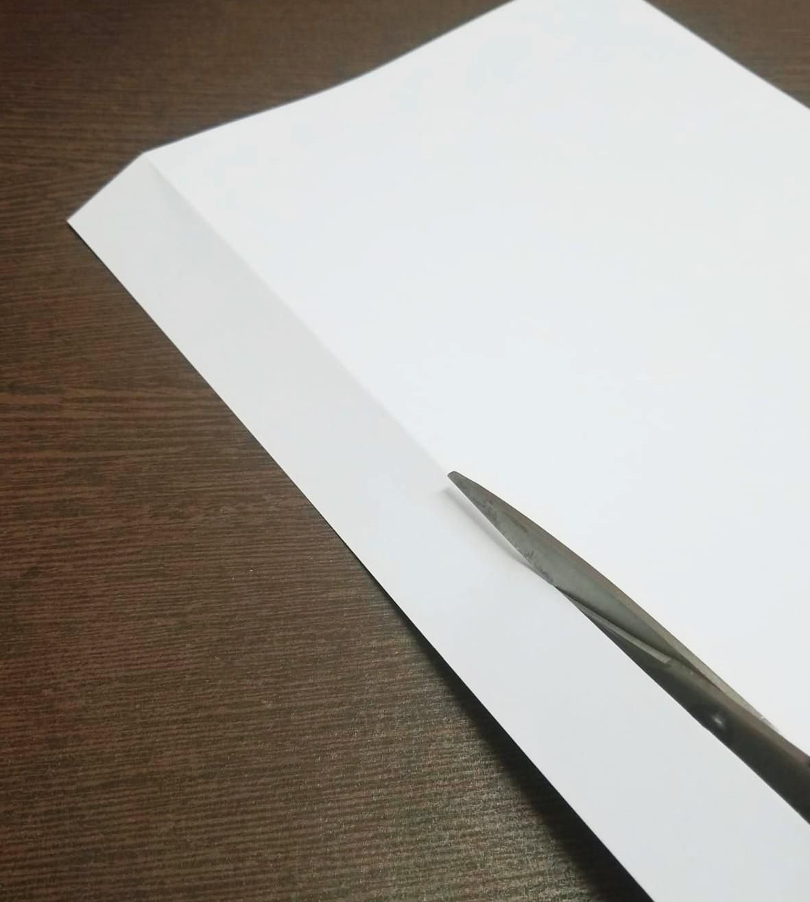 Flying Fish Paper Spinner : 7 Steps (with Pictures) - Instructables