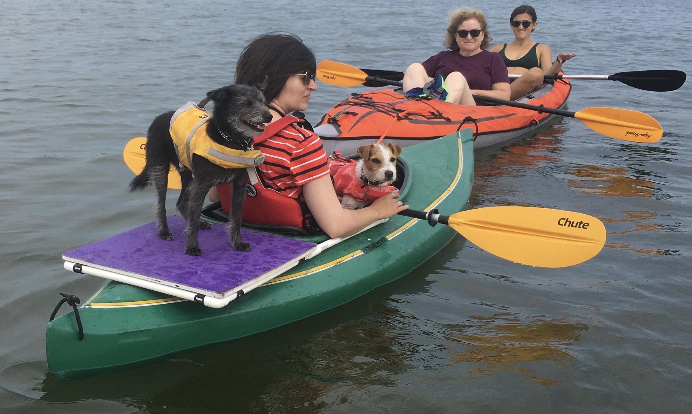 Kayak Dog Platform : 4 Steps (with Pictures) - Instructables