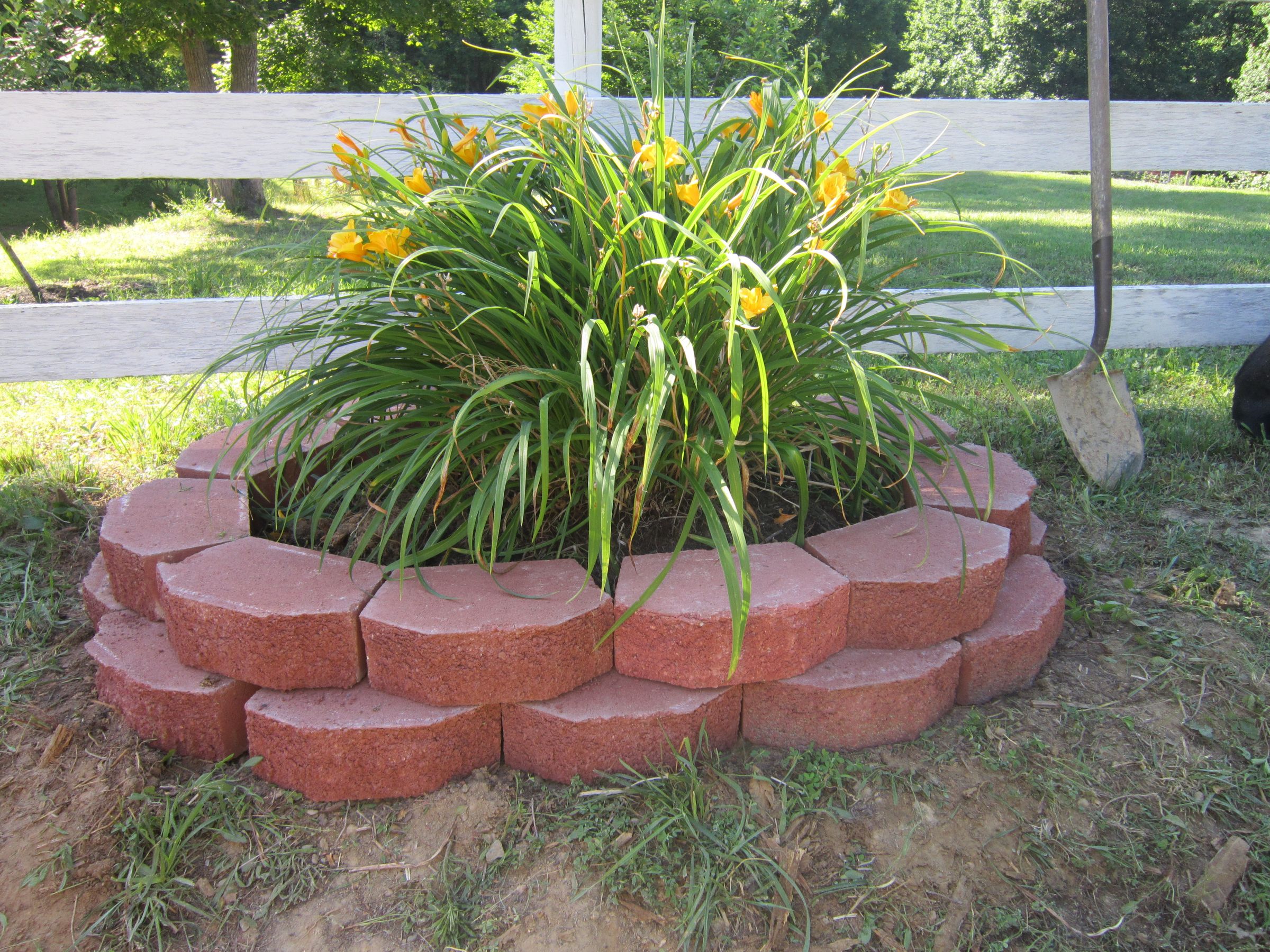 30 Minute Flowerbed : 8 Steps (with Pictures) - Instructables