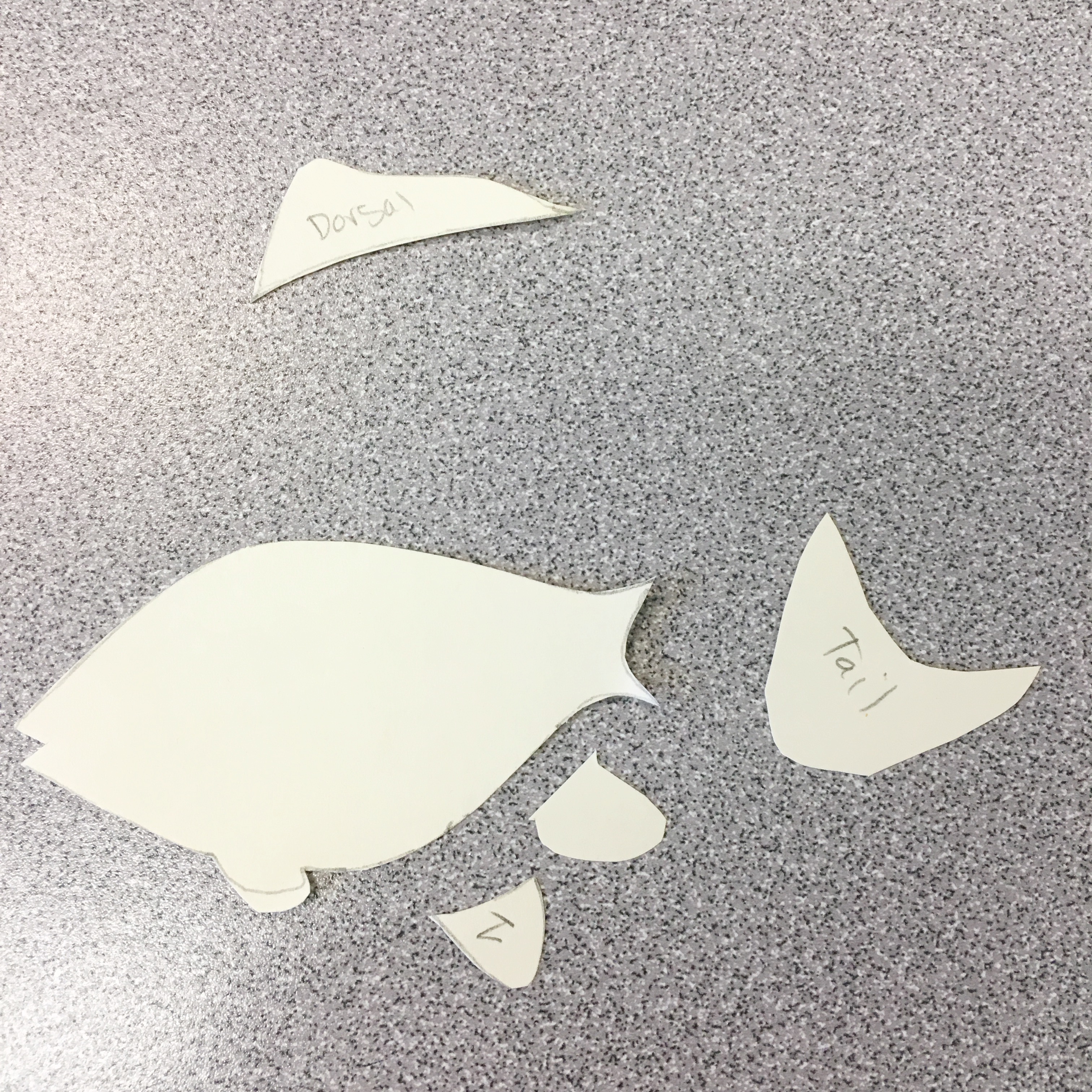 Catnip Fish Toys : 4 Steps (with Pictures) - Instructables