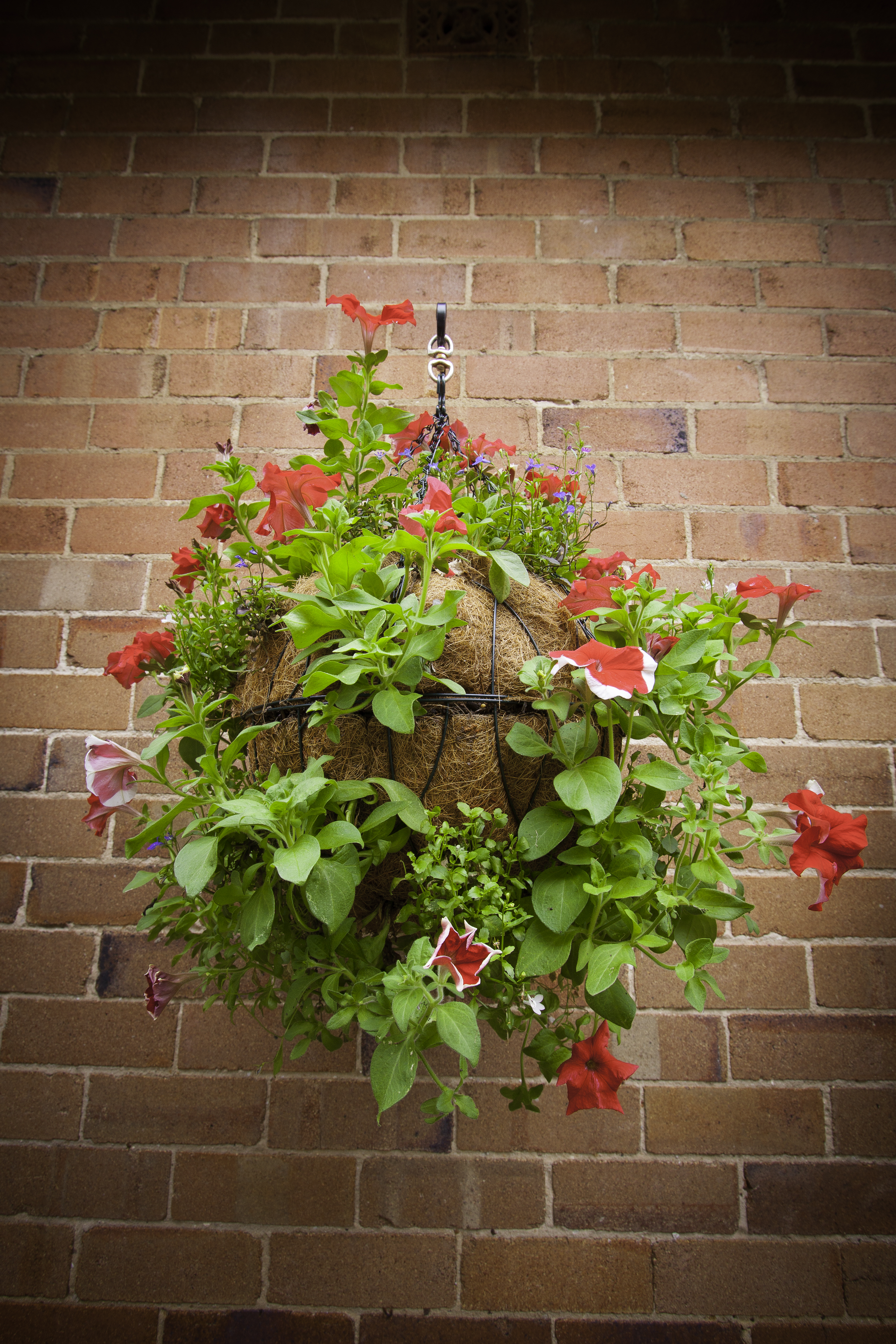 Hanging Floral Balls : 7 Steps (with Pictures) - Instructables