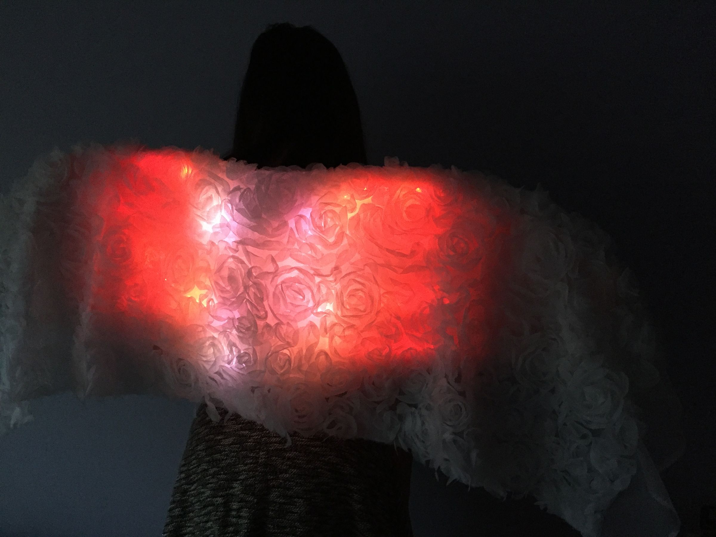 Neopixel Light Up Fire and Ice Wings : 4 Steps (with Pictures ...