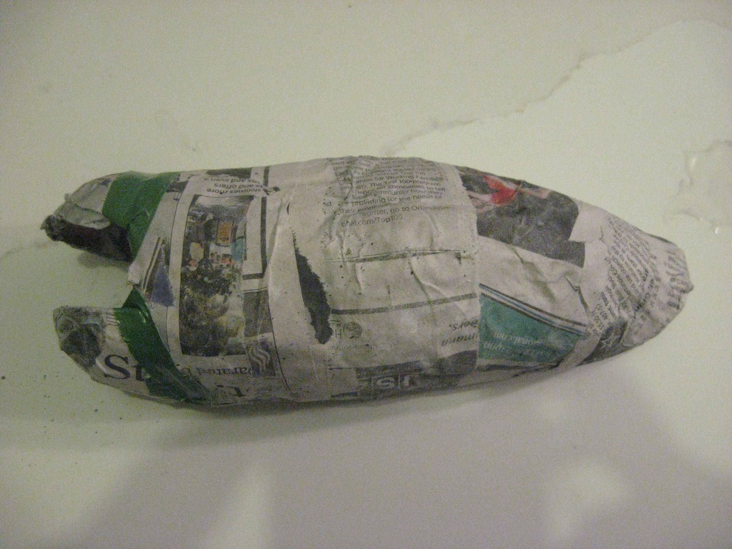 Paper Mache Fish #2 - Instructables