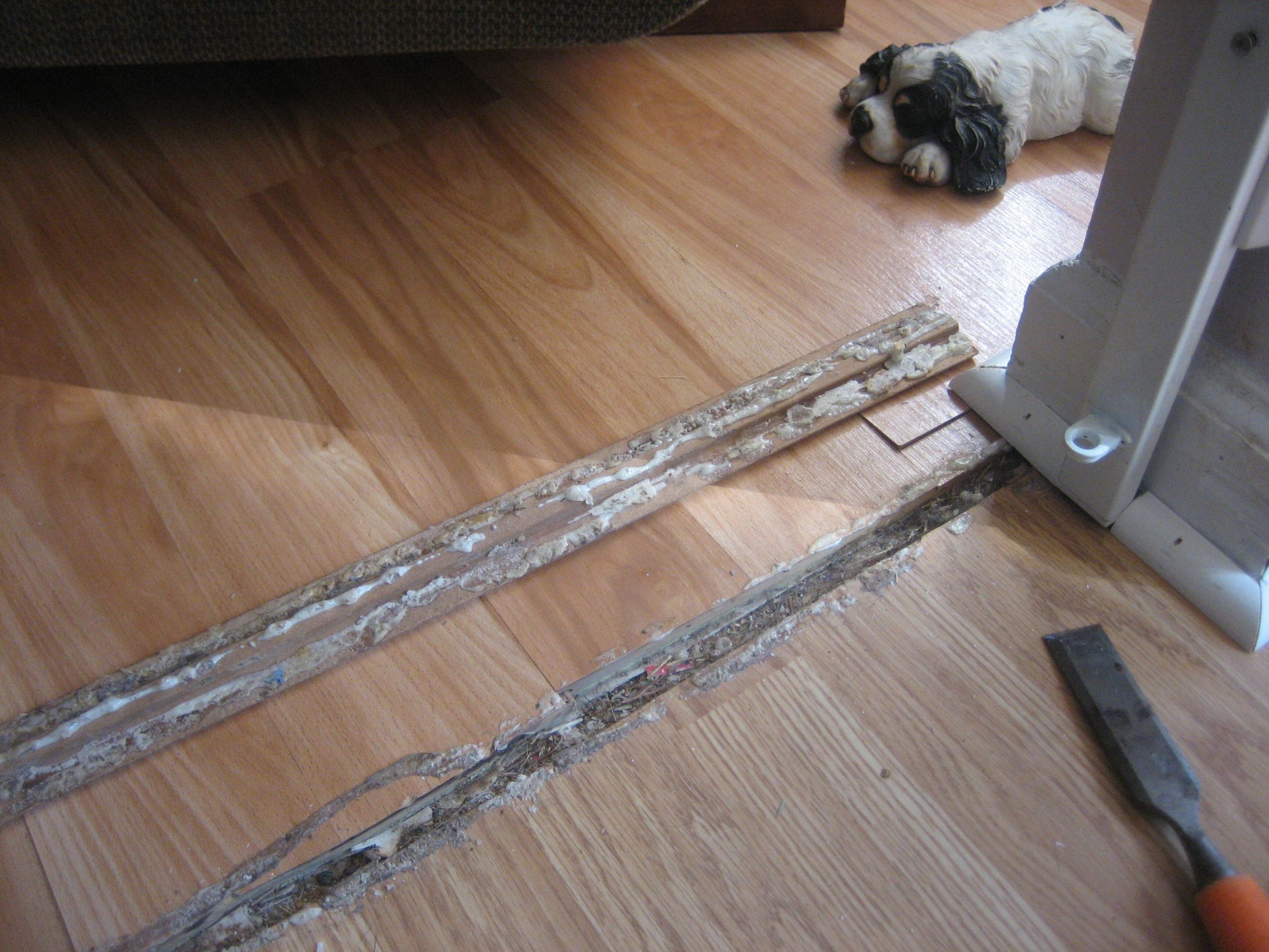BASEBOARD MOLDING REPAIR : 8 Steps (with Pictures) - Instructables