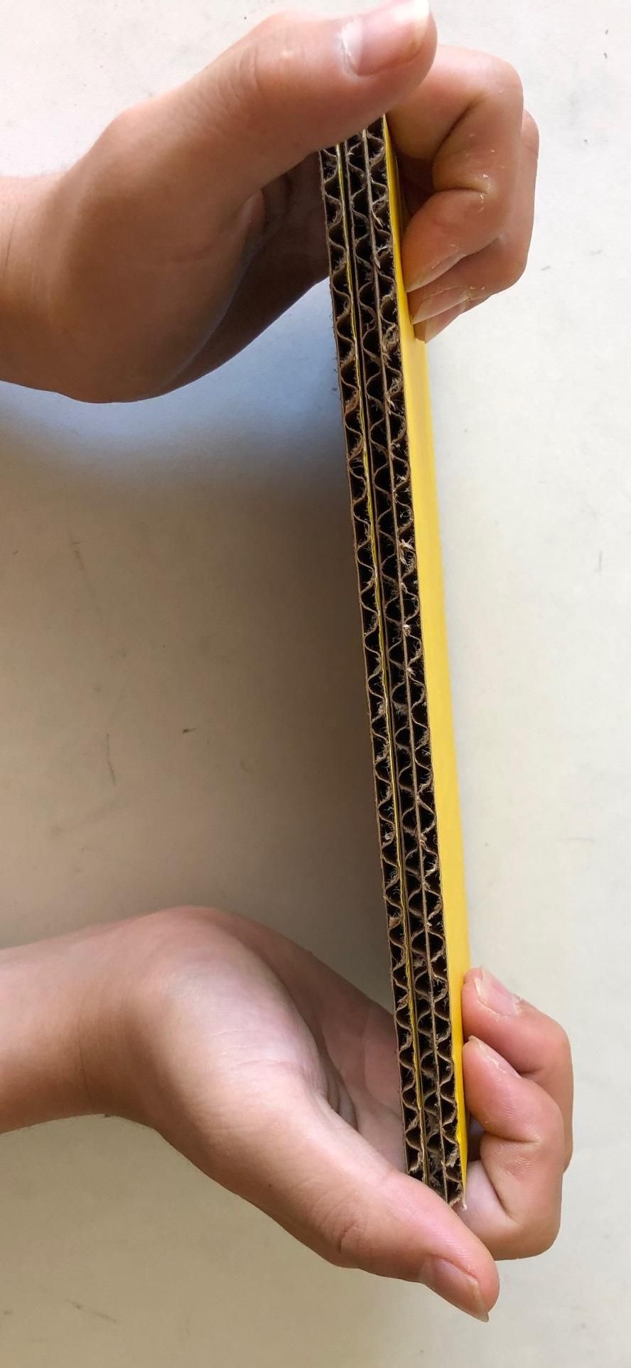 Cardboard Catapult : 12 Steps (with Pictures) - Instructables