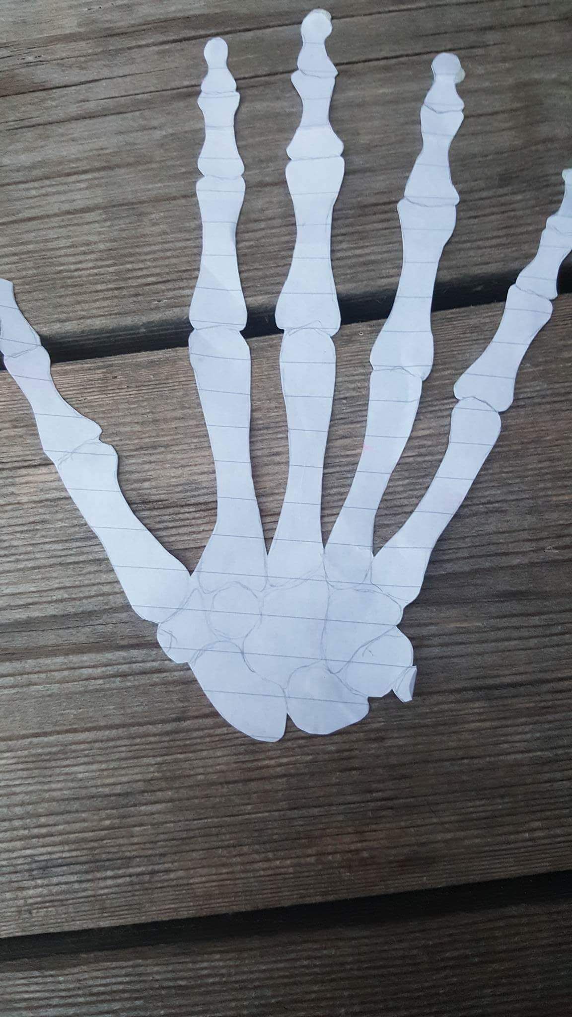 DIY Skeleton Bottles : 11 Steps (with Pictures) - Instructables