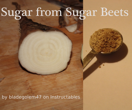 Making Sugar From Sugar Beets : 7 Steps (with Pictures) - Instructables