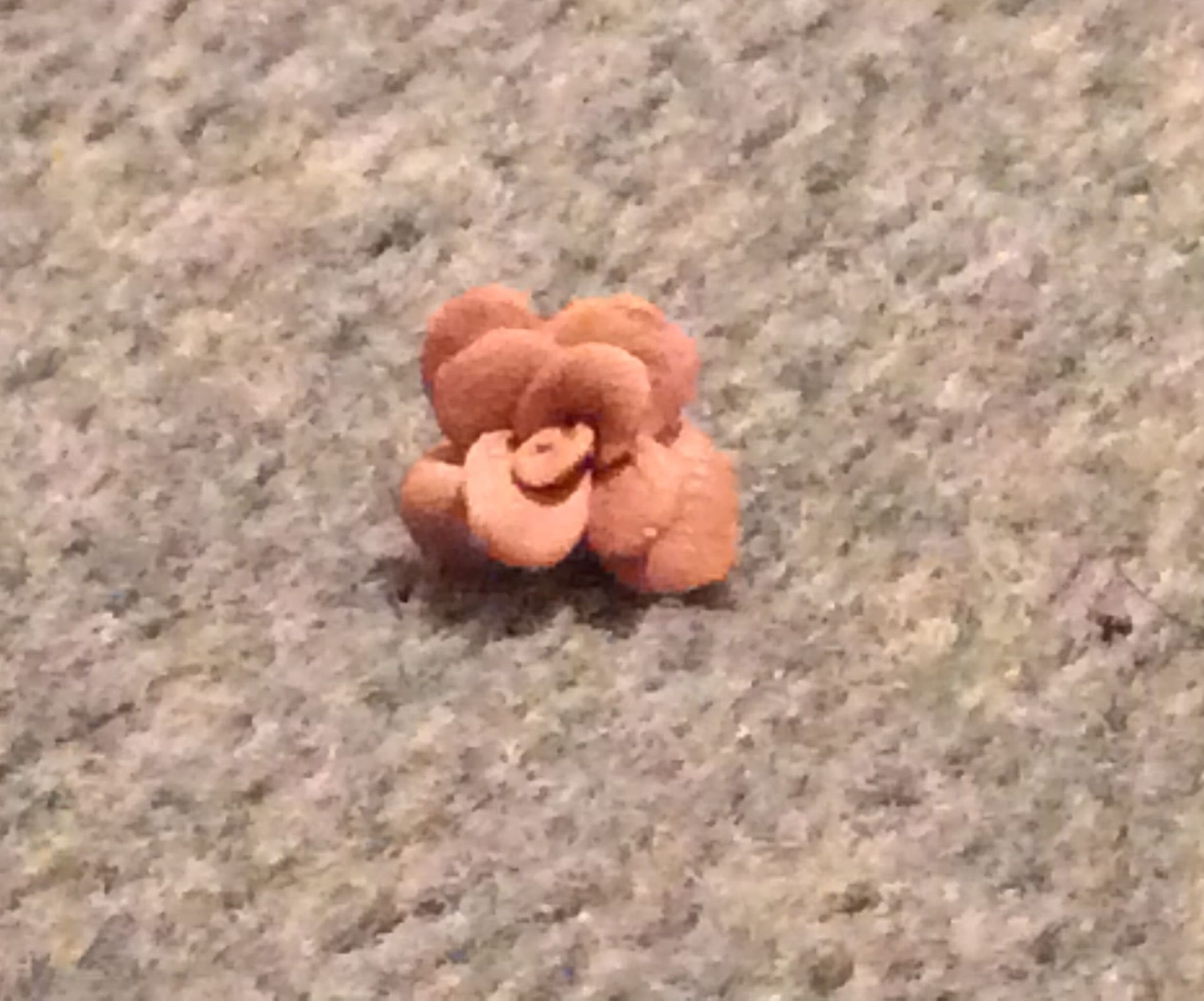 Clay Rose : 4 Steps - Instructables