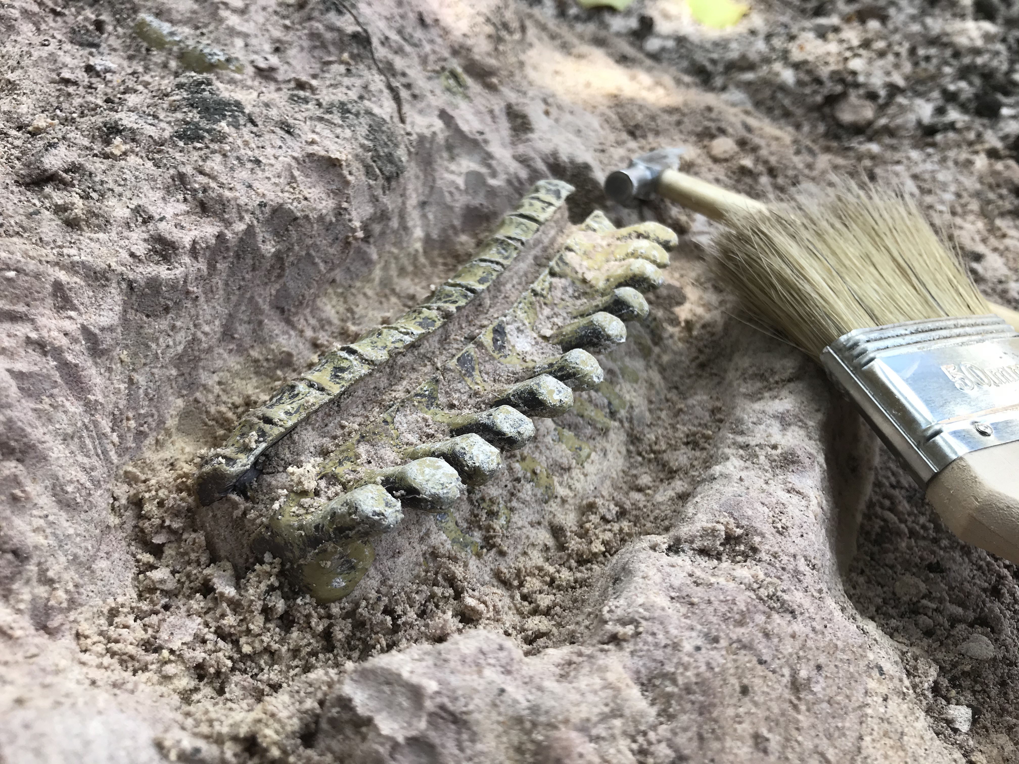 HUGE Homemade Dinosaur Excavation Dig : 5 Steps - Instructables