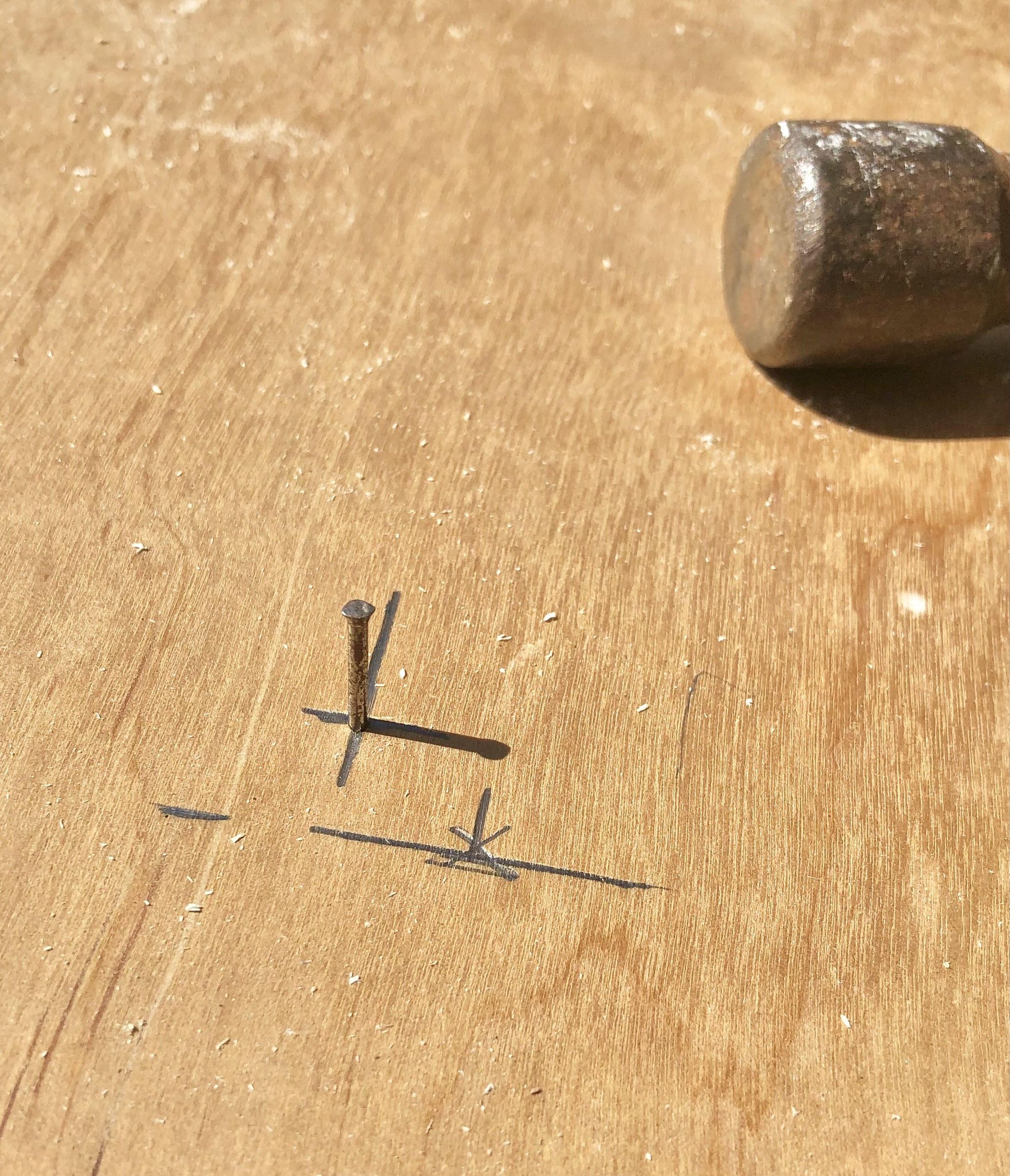 How to Make a Viking Round-Shield : 12 Steps (with Pictures ...