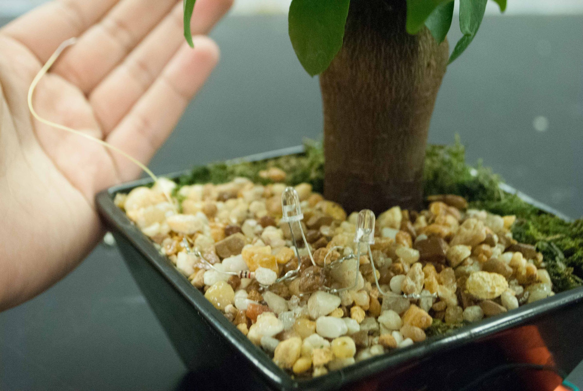 Positivity Plant : 8 Steps (with Pictures) - Instructables