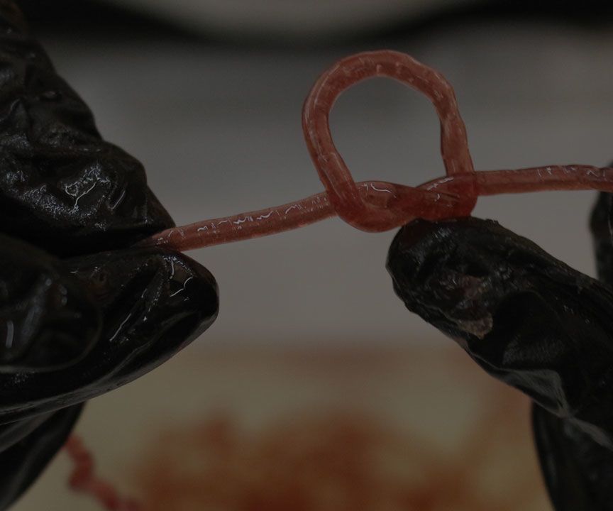Create Bio-yarn : 8 Steps (with Pictures) - Instructables