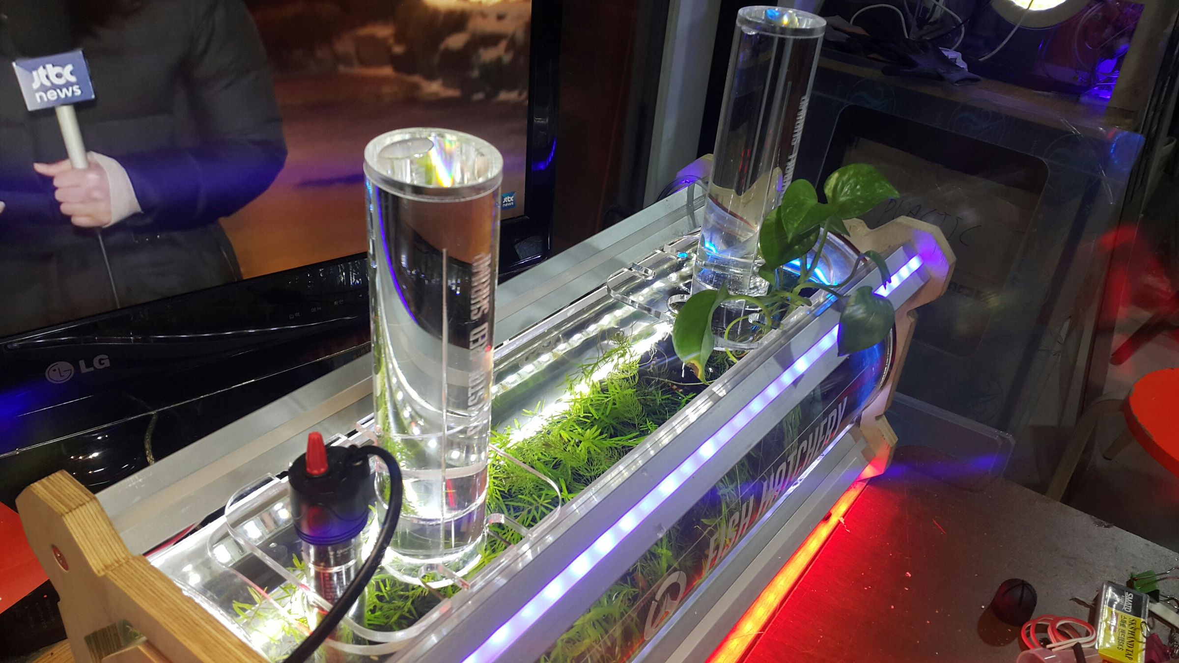 Acrylic Fish Tank (aquarium) : 6 Steps - Instructables