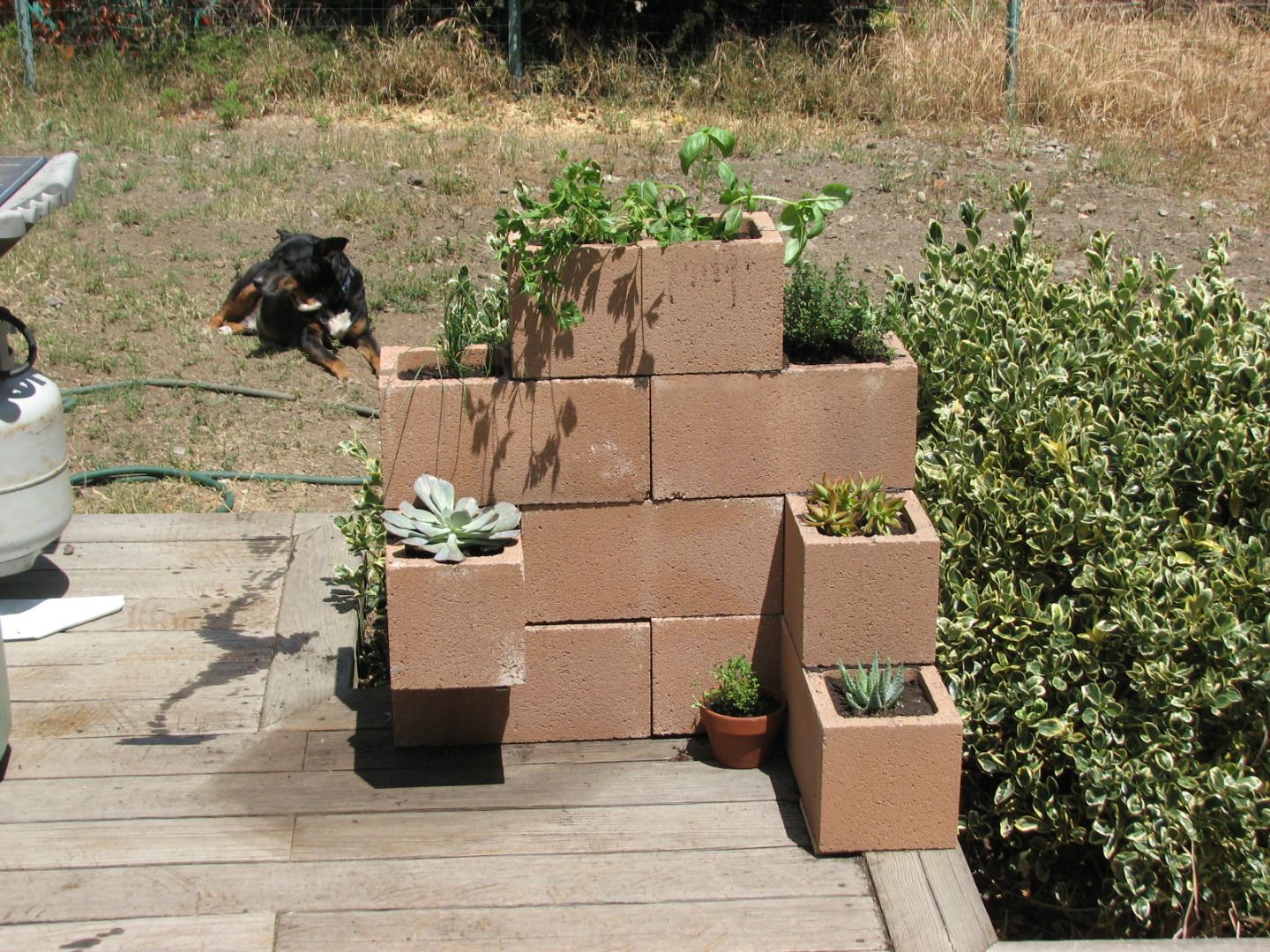 Cinder Block Planter : 5 Steps (with Pictures) - Instructables