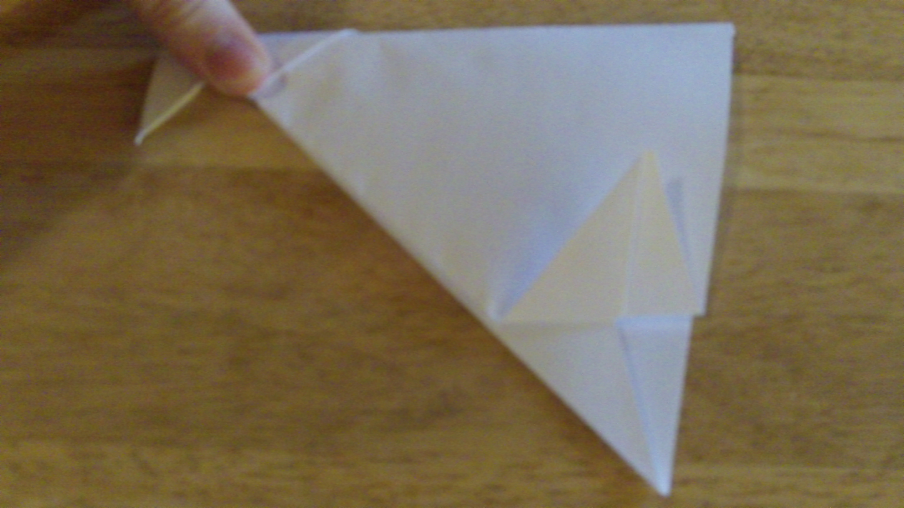 How to Make the Pelican Paper Airplane : 10 Steps - Instructables