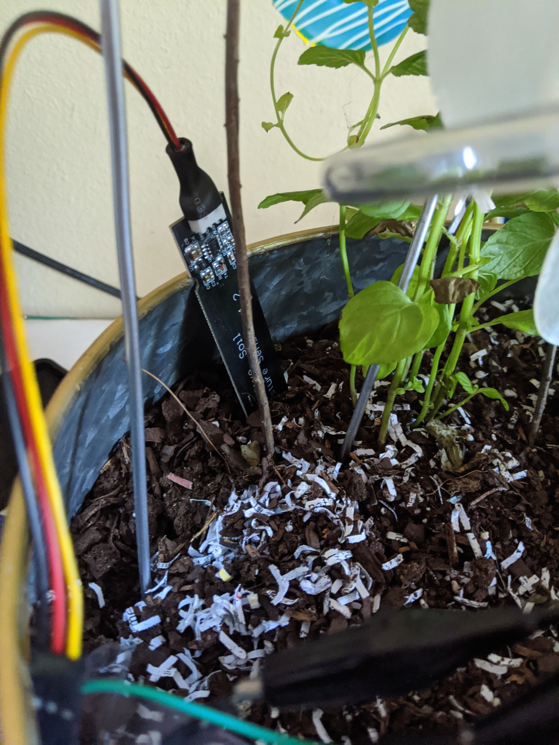 Garduino Self Watering Plant System : 6 Steps - Instructables