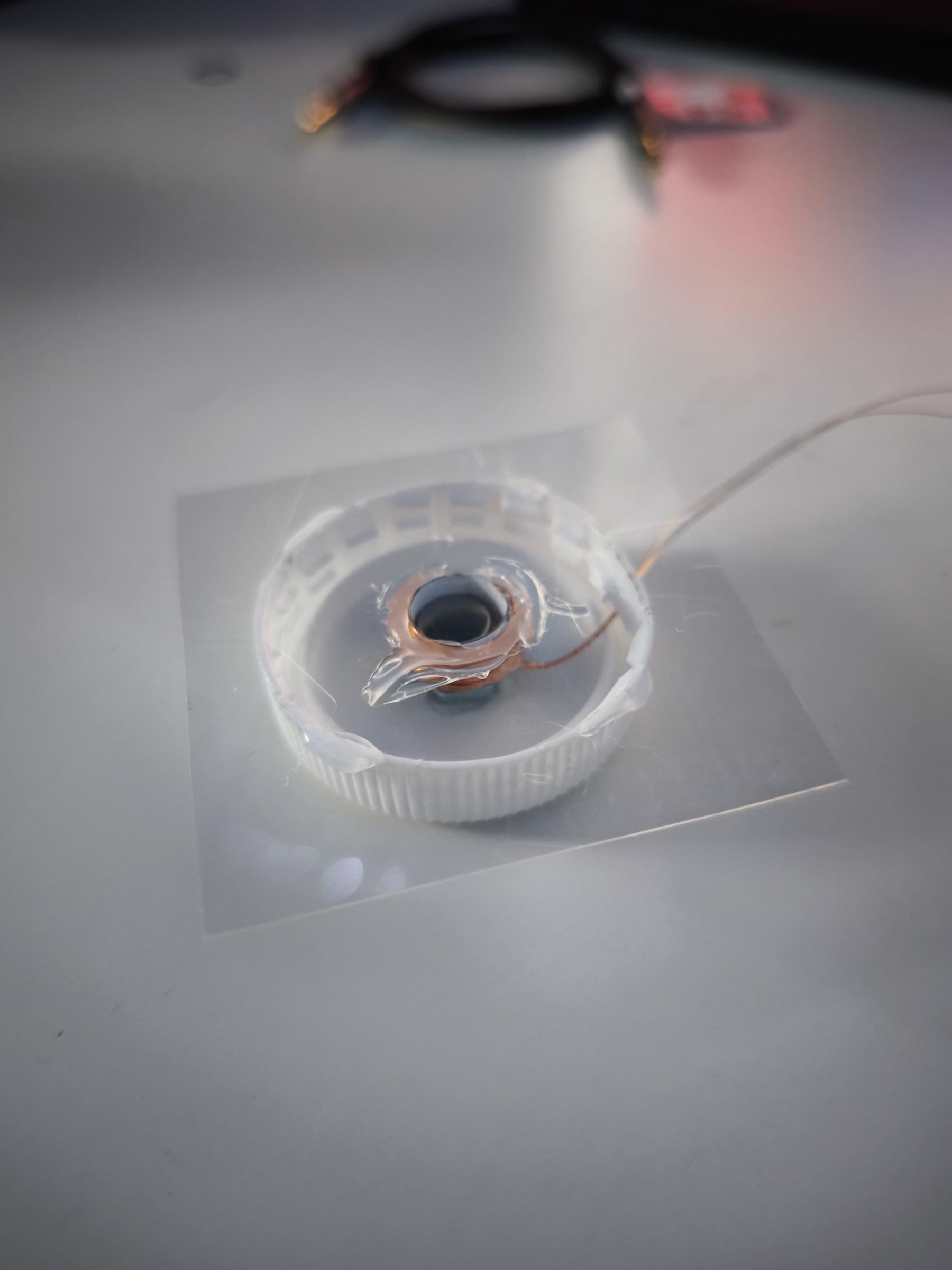 Homemade Horn : 9 Steps - Instructables