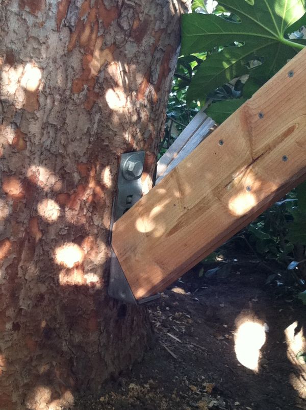 Building a Treehouse : 8 Steps (with Pictures) - Instructables