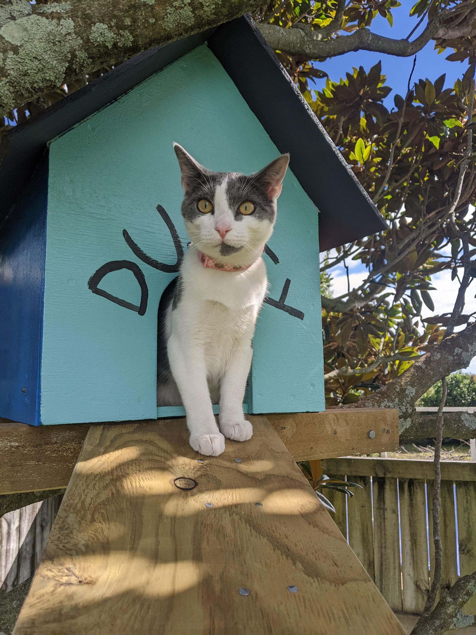 Cat Treehouse : 5 Steps (with Pictures) - Instructables